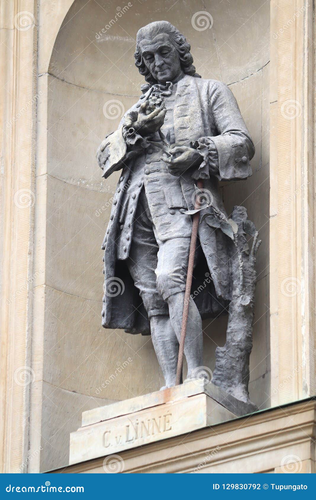 Carl Linnaeus-standbeeld redactionele fotografie. Image of paleis ...