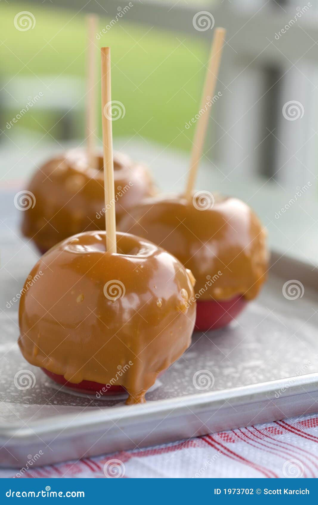 Carmel Apples stock photo. Image of handheld, toffee, home - 1973702