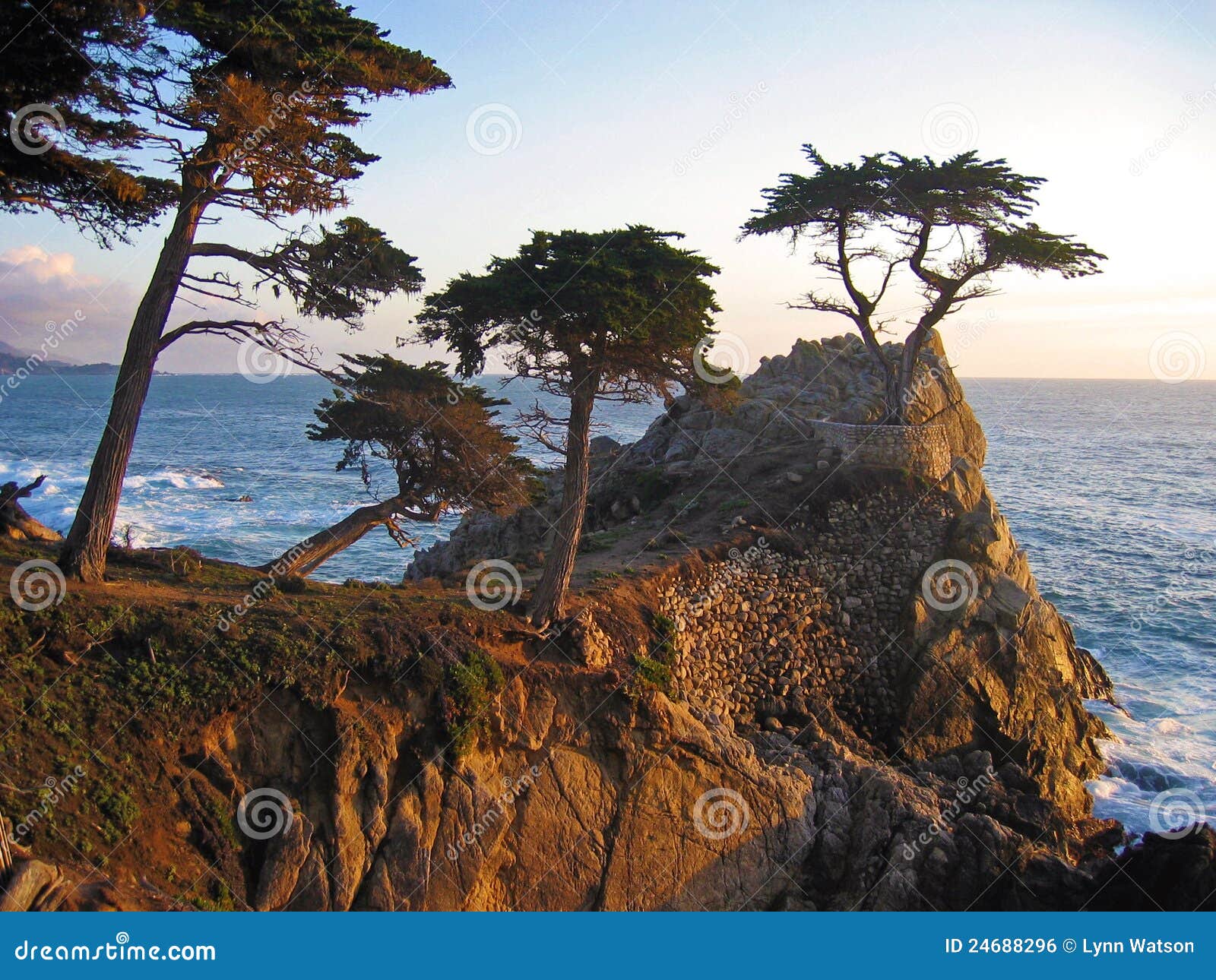 Carmel Coast stock photo. Image of scene, cypress, pacific - 24688296