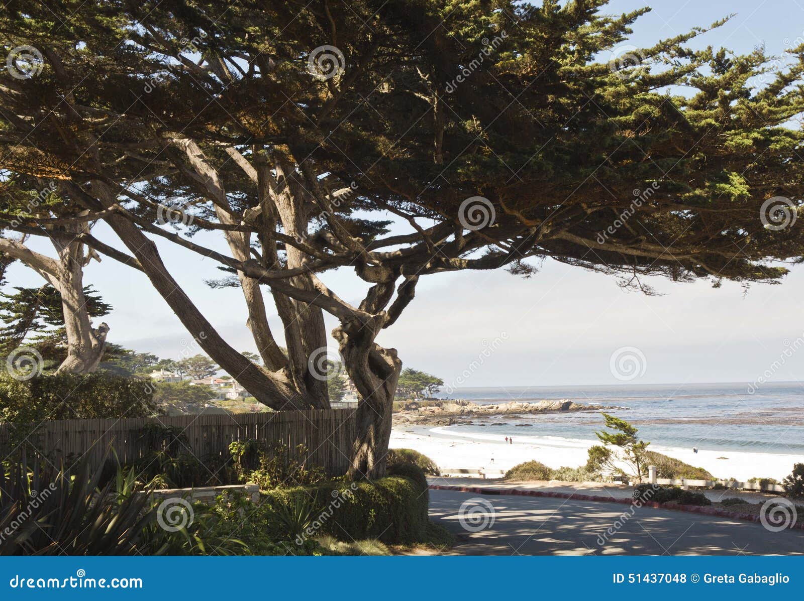 Carmel Dalla Spiaggia Del Mare in California Fotografia Stock ...