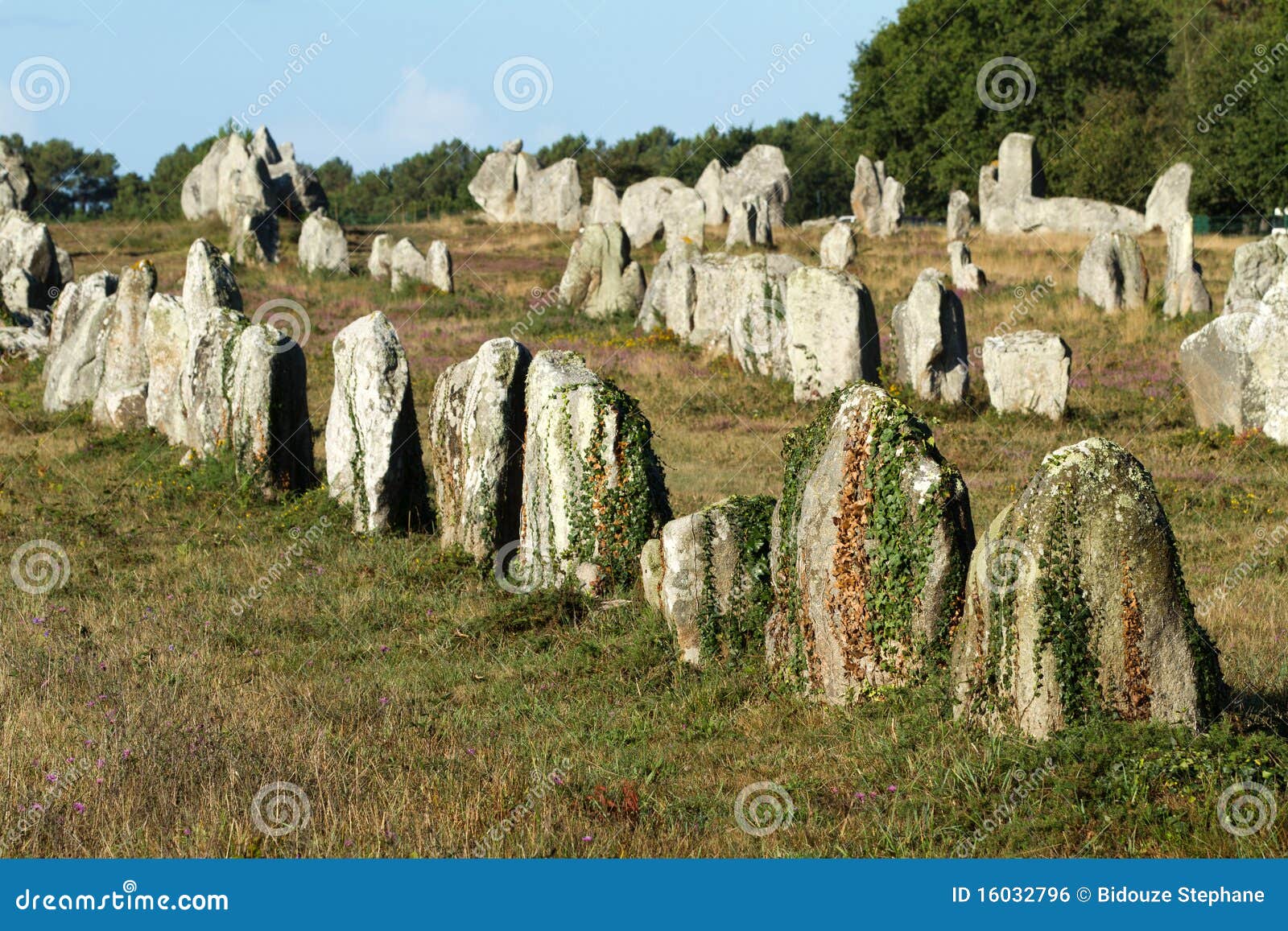 Rocks-megaliths Big Turtle And Feathered Guardian In The Kamenny Gorod ...