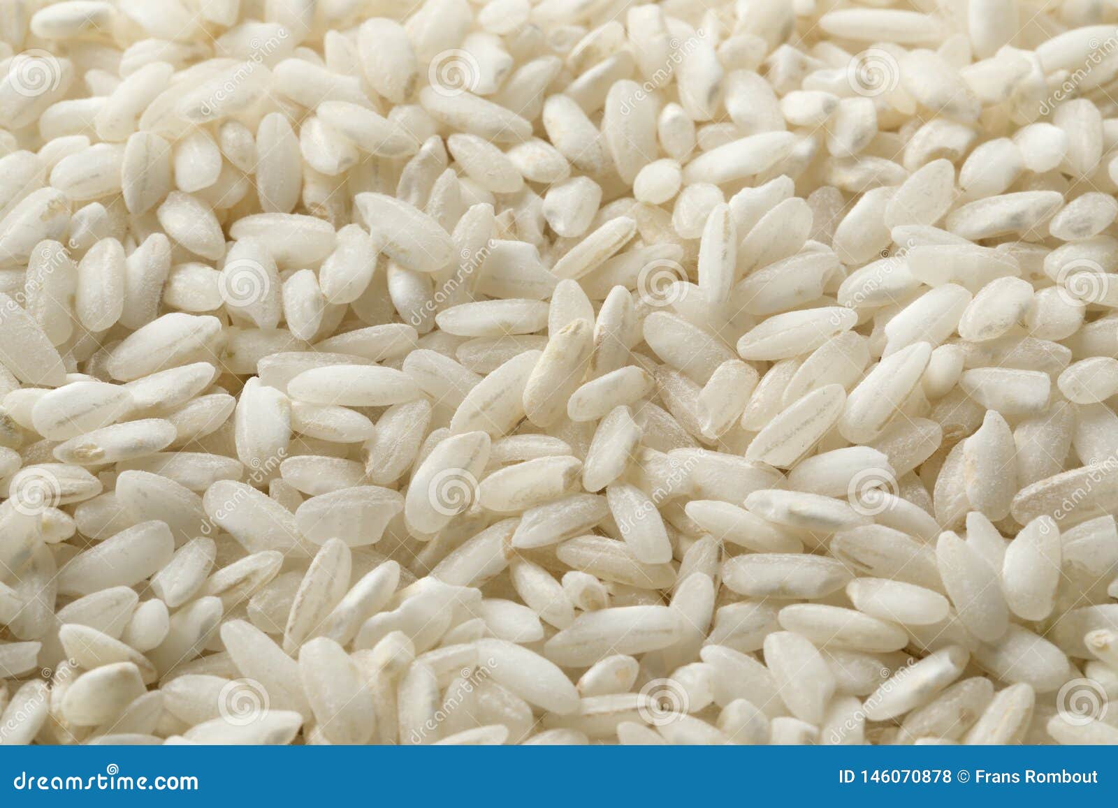 Carnaroli risotto rice stock photo. Image of closeup - 146070878