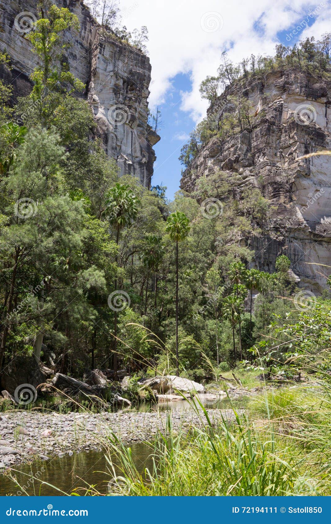 Carnarvon Gorge, Australia stock image. Image of creek - 72194111