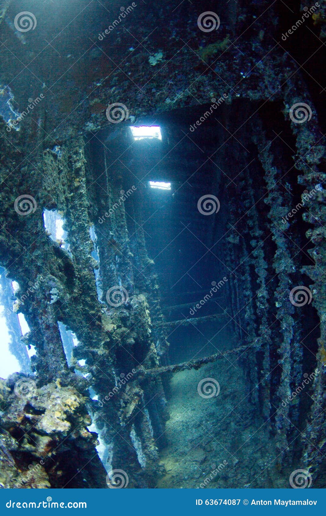 Carnatic Wreck. Egypt, stock image. Image of egypt, diving - 63674087
