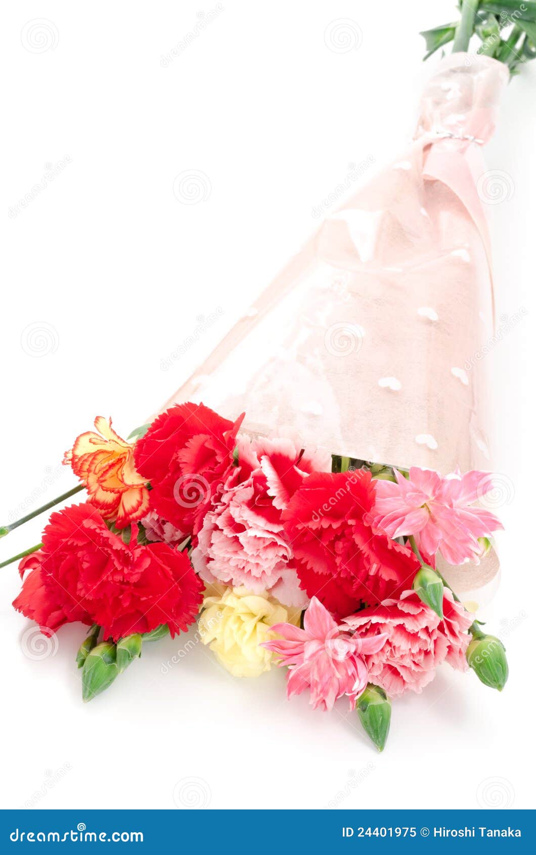 Carnation bouquet stock image. Image of brilliant, celebration - 24401975
