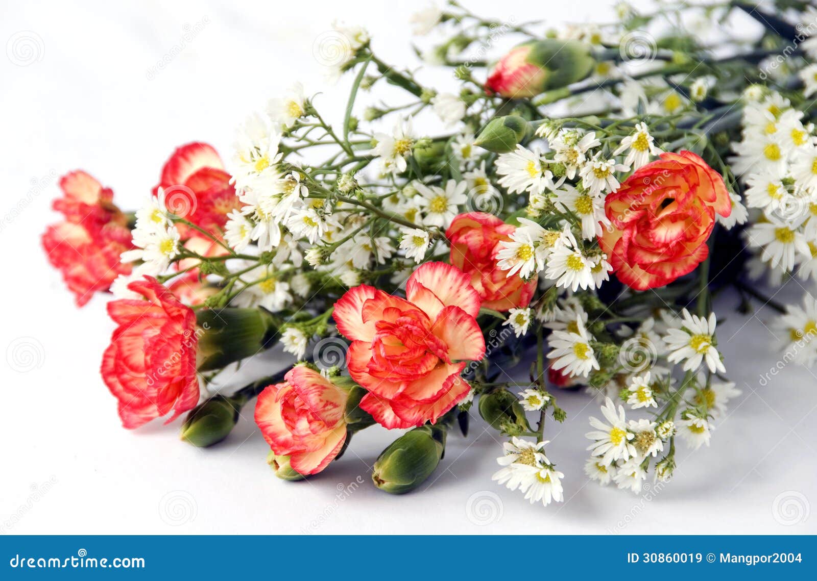 Carnation bouquet. stock image. Image of yellow, bouquet - 30860019