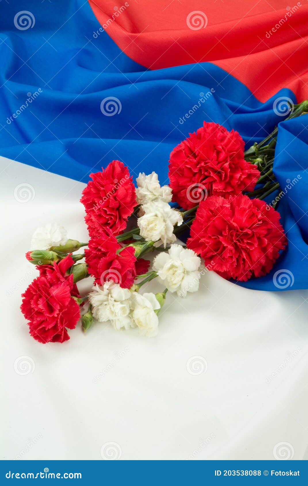 Carnation and Flag stock photo. Image of studio, symbolic - 203538088