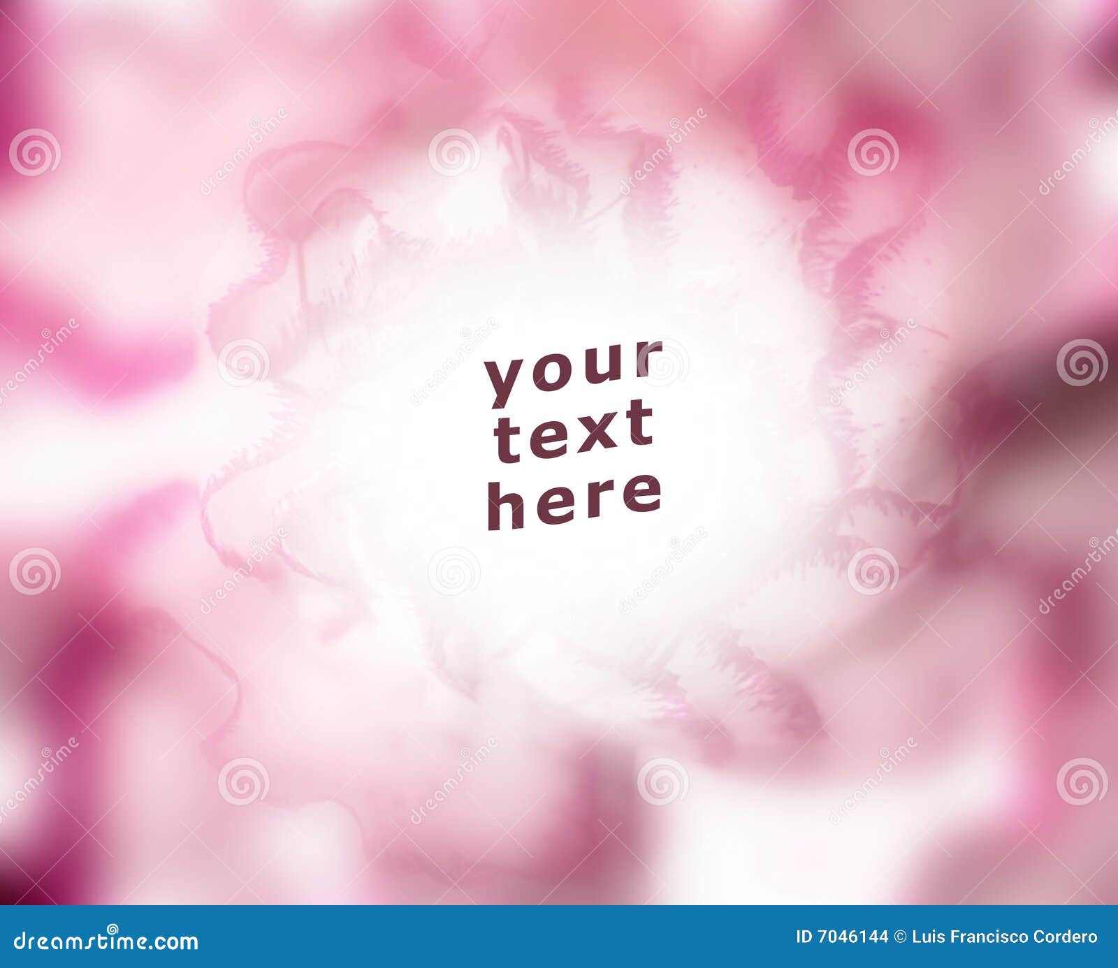 Carnation frame stock photo. Image of plant, colorful - 7046144