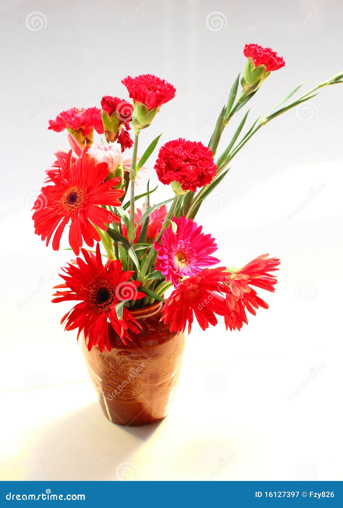 Carnation and gerbera stock image. Image of houseplant - 16127397