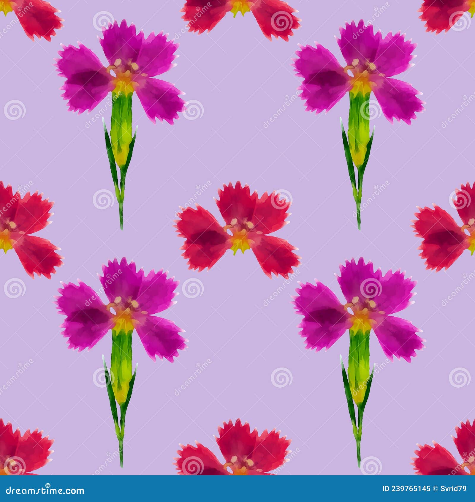 Carnation. Illustration, Texture Of Flowers. Seamless Pattern For ...