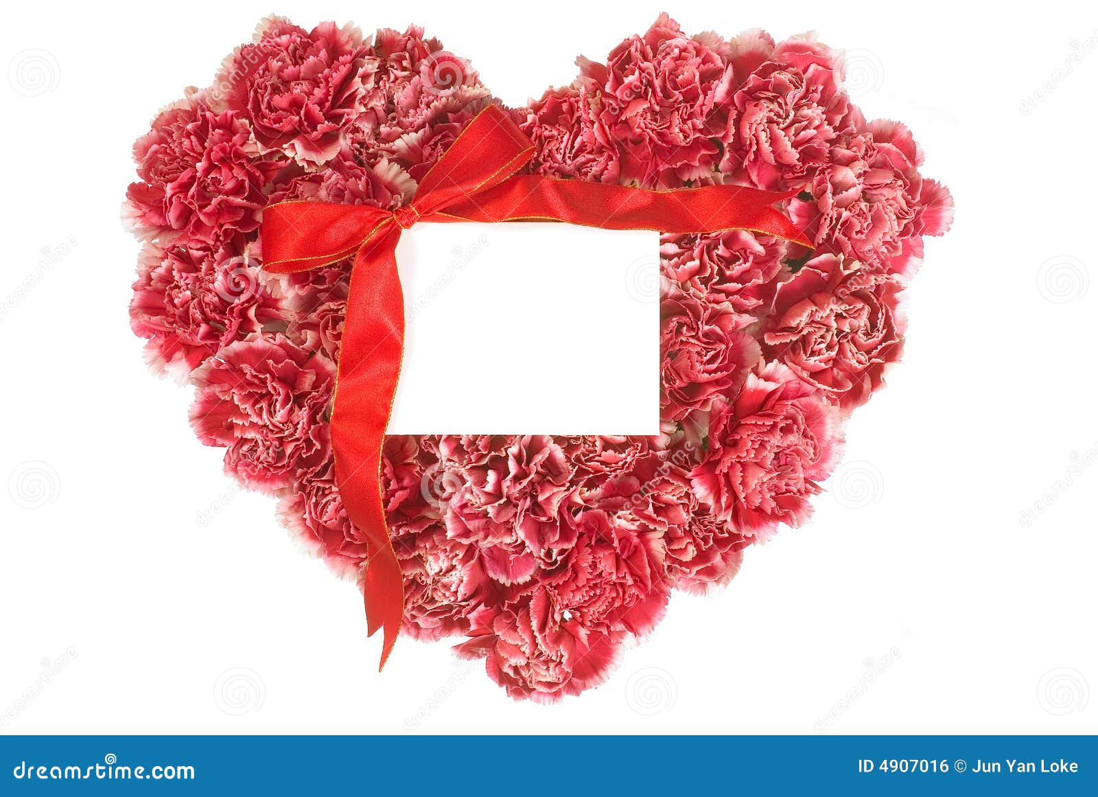 Carnation in Love Shape stock photo. Image of fragrant - 4907016