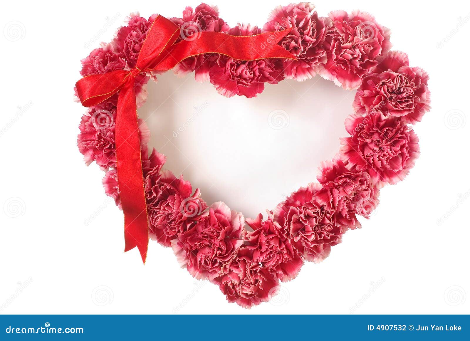 Carnation in Love Shape stock photo. Image of shape, anniversary - 4907532