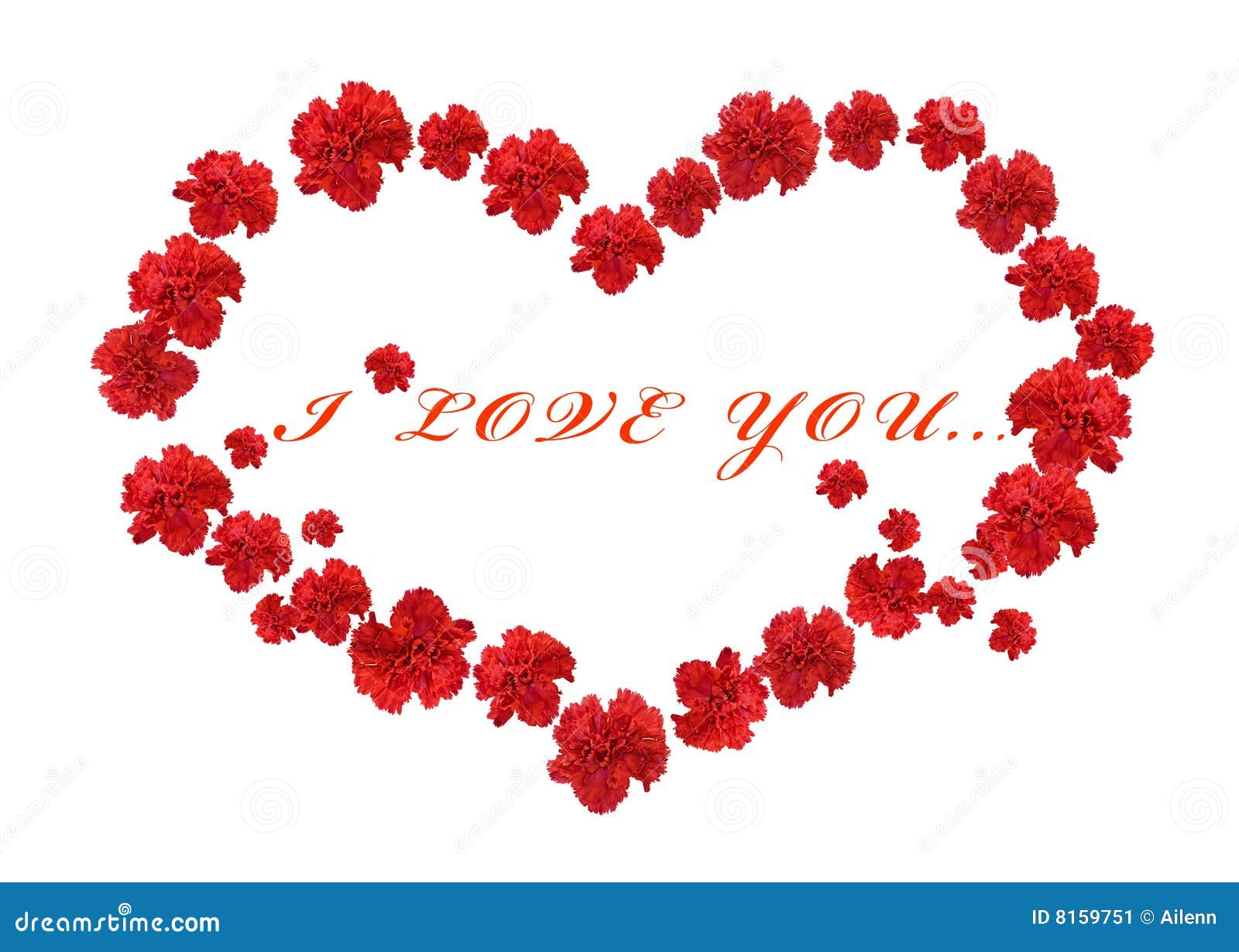 Carnation in Love Shape stock image. Image of beauty, label - 8159751