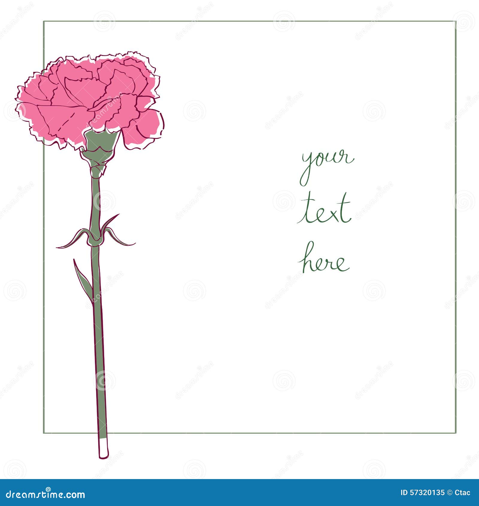 Carnation minimal card stock vector. Illustration of decoration - 57320135