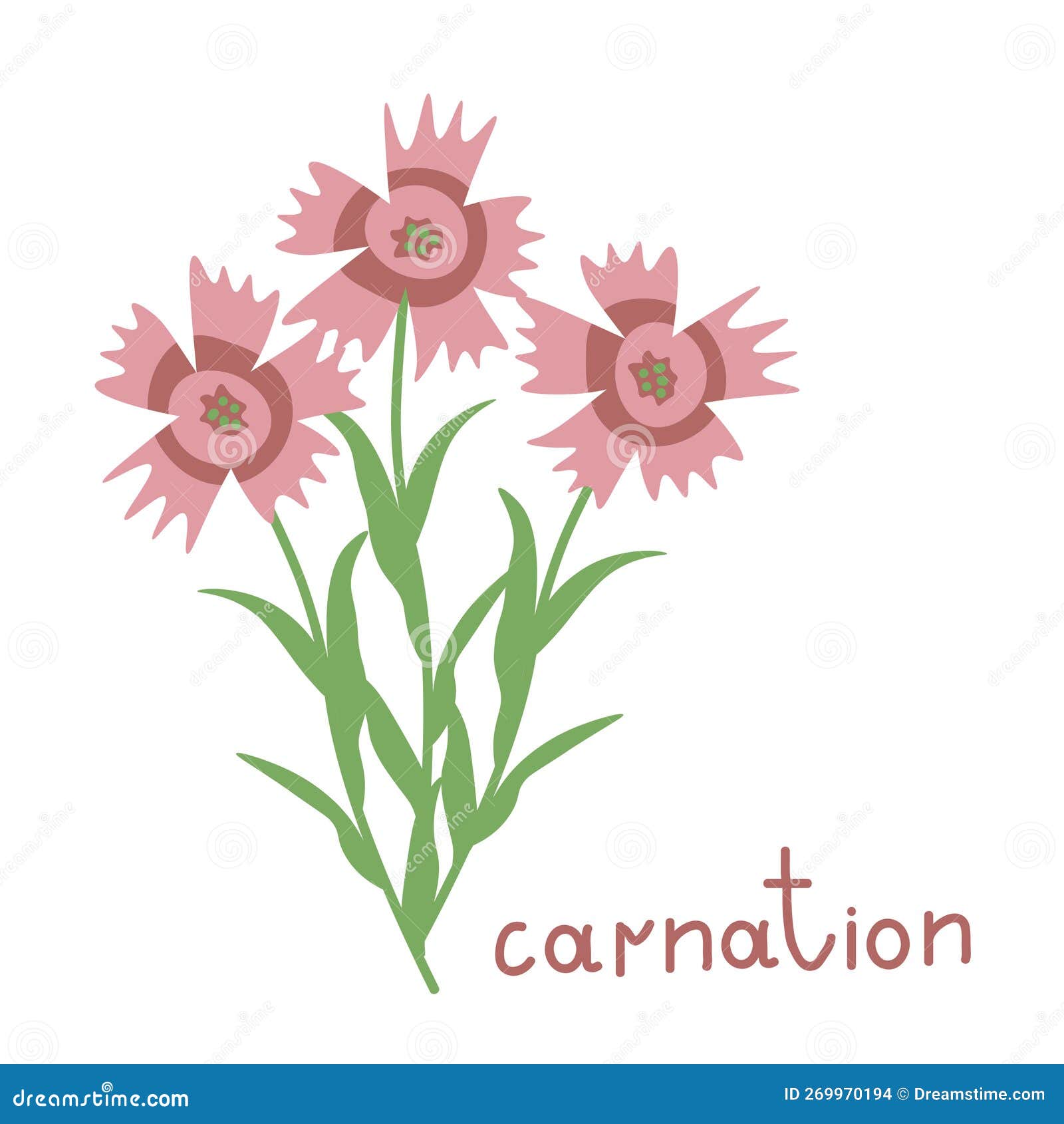 Carnation Vector Icon On White Background. Flat Vector Carnation Icon ...