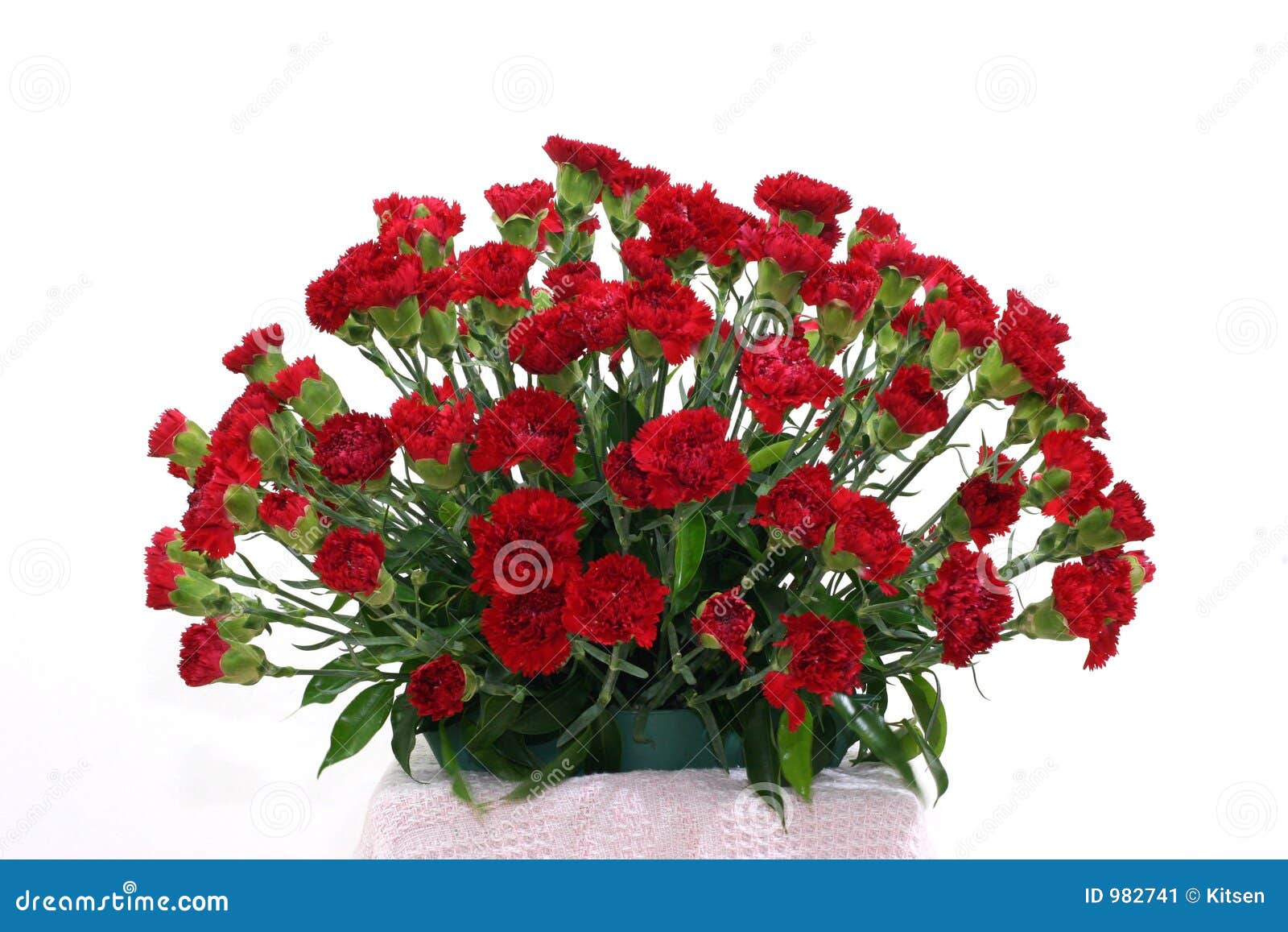 Carnations stock image. Image of orange, colorful, flowers - 982741