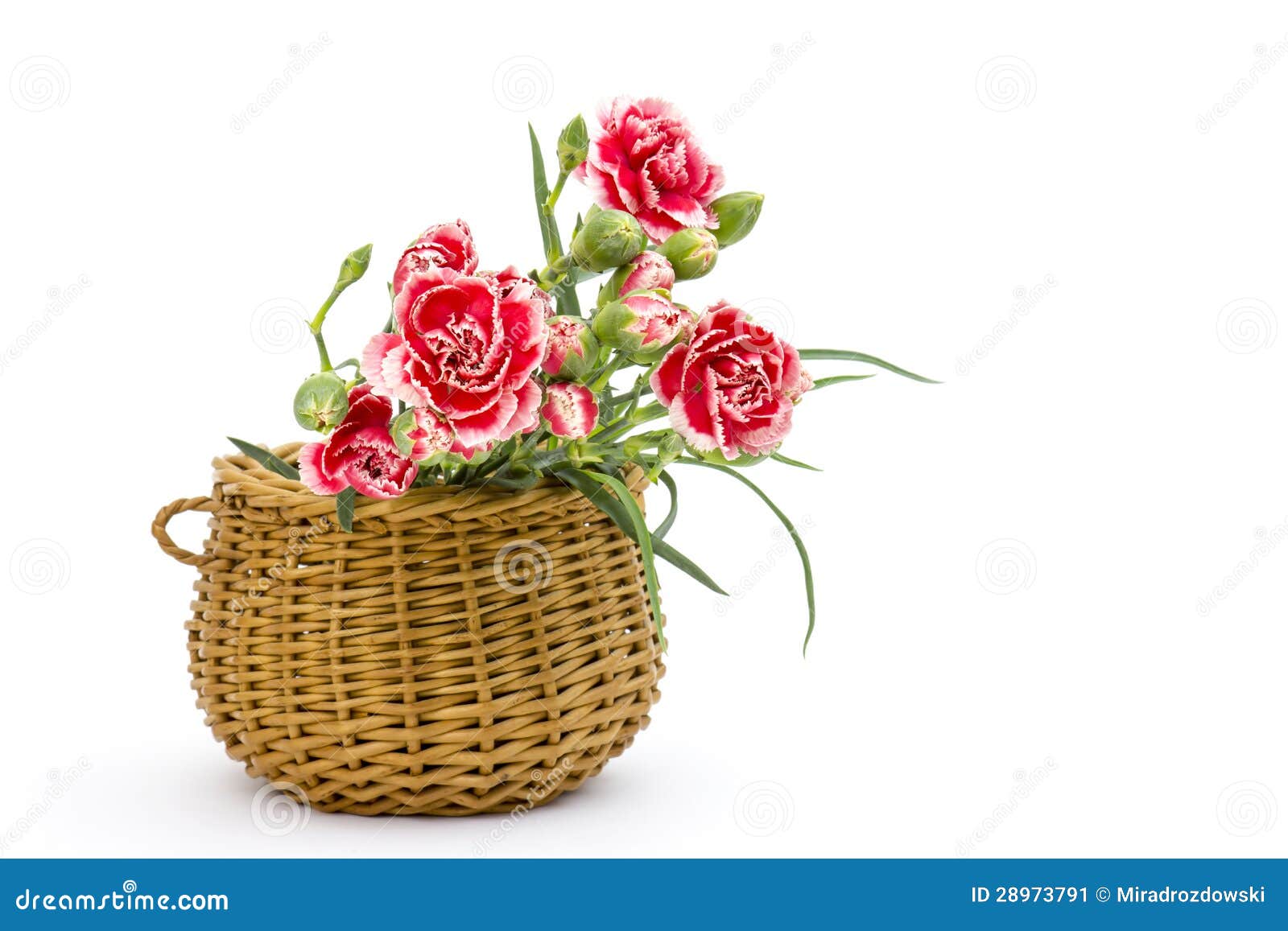 Carnations in a basket stock image. Image of gift, green - 28973791