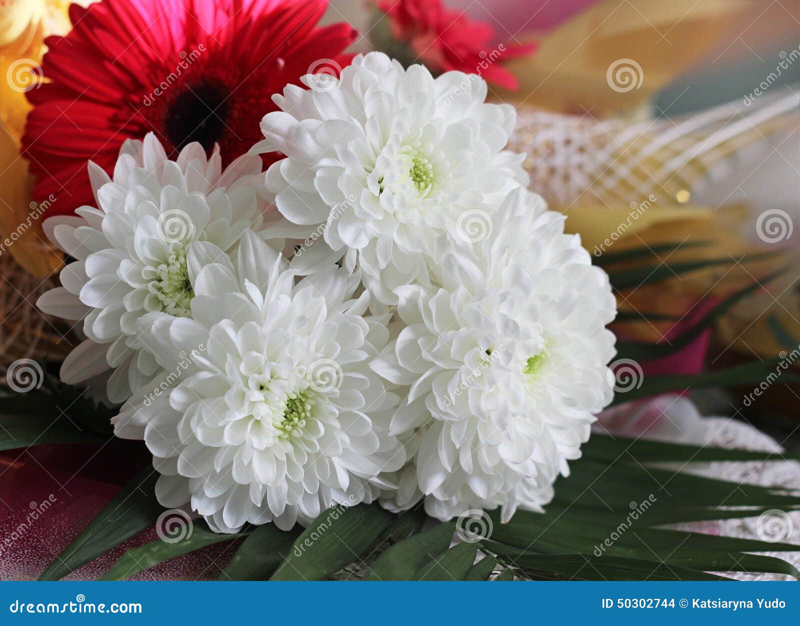 Carnations and gerbera stock photo. Image of contrast - 50302744