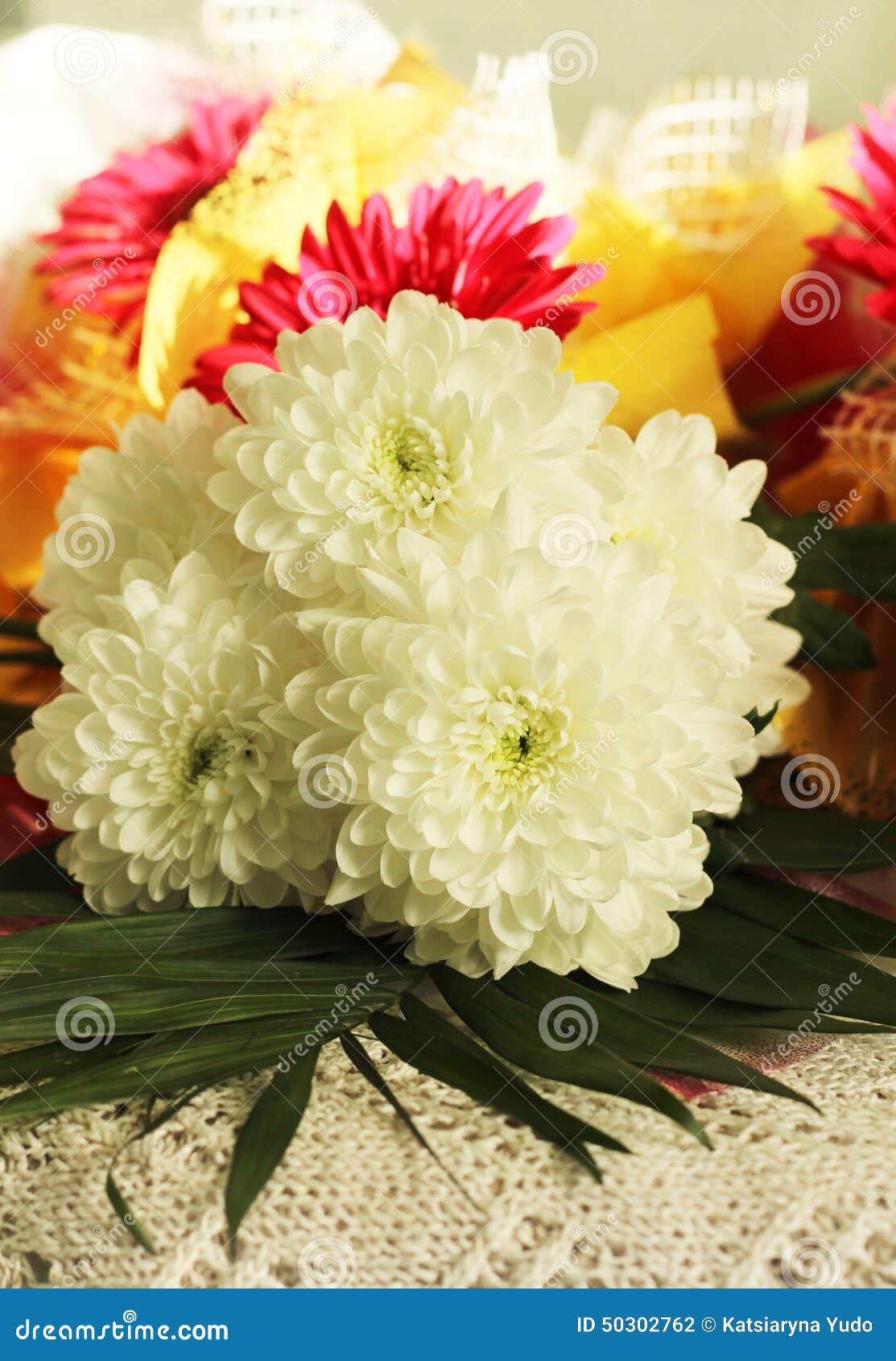 Carnations and gerbera stock photo. Image of blooming - 50302762