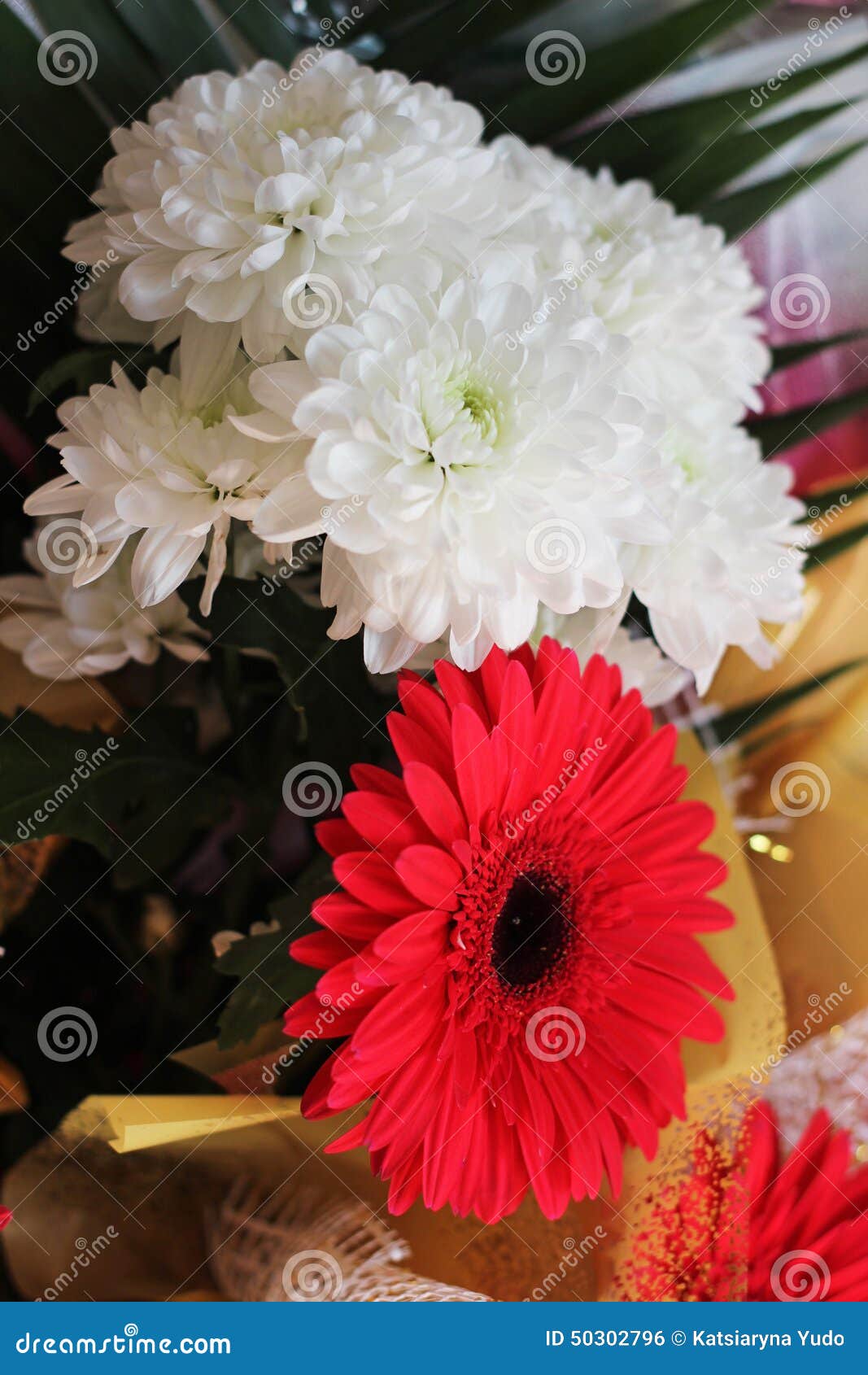 Carnations and gerbera stock photo. Image of carnations - 50302796