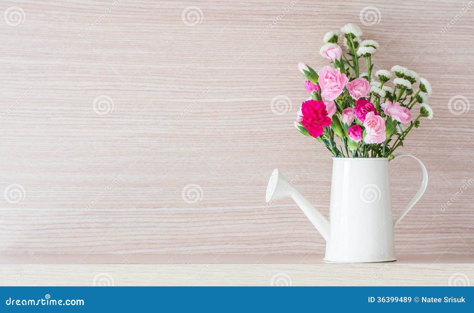 Carnations in watering stock image. Image of white, decoration - 36399489