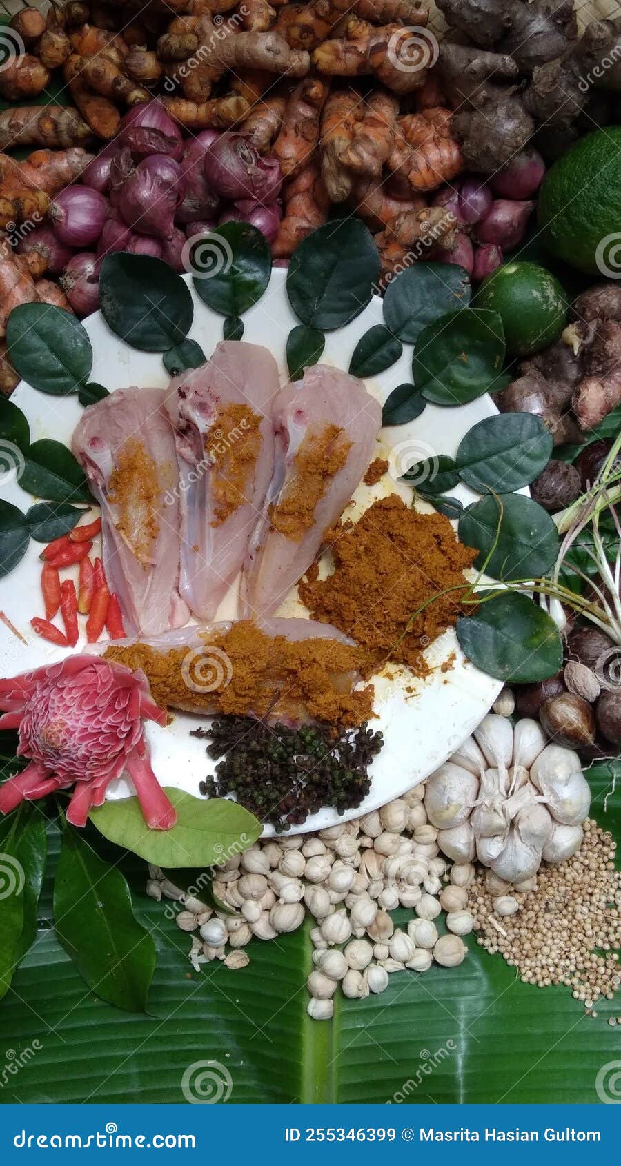 Carne De Pollo Con Condimento Tradicional Y Hierbas Imagen de archivo ...