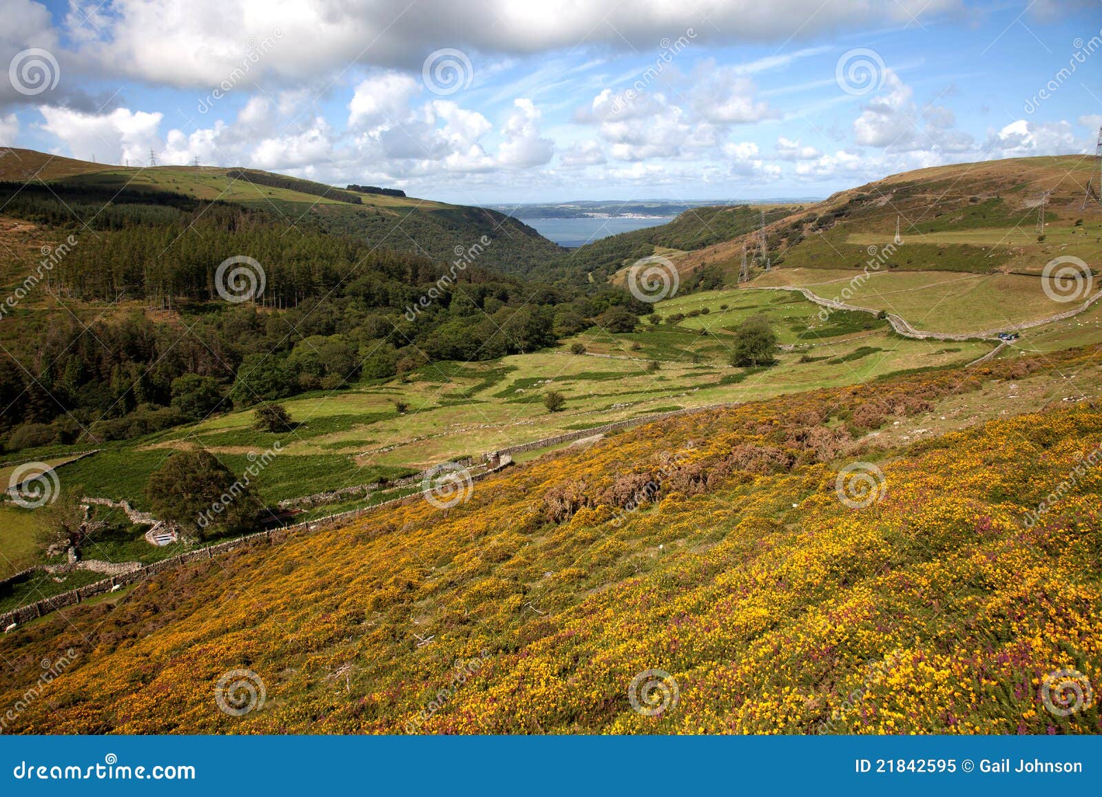 Carneddau Mountain Range stock image. Image of gorse - 21842595