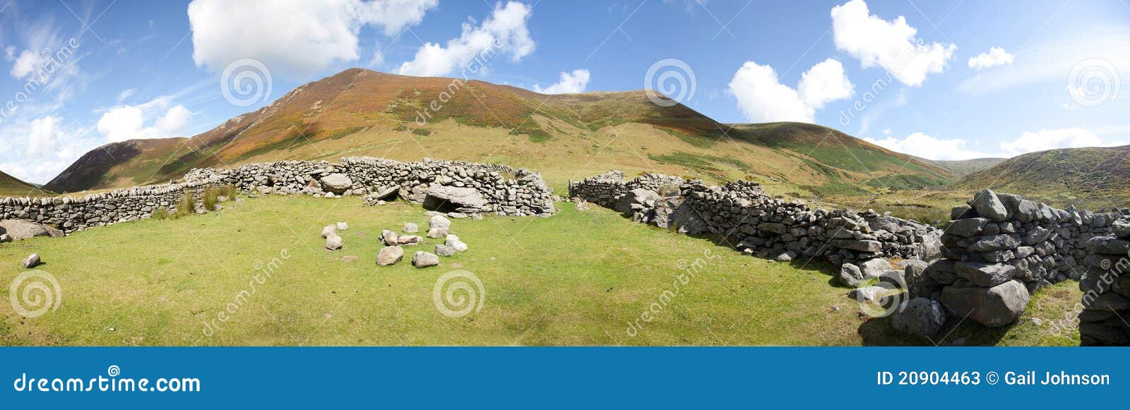 Carneddau Snowdonia stock image. Image of purple, heathland - 20904463