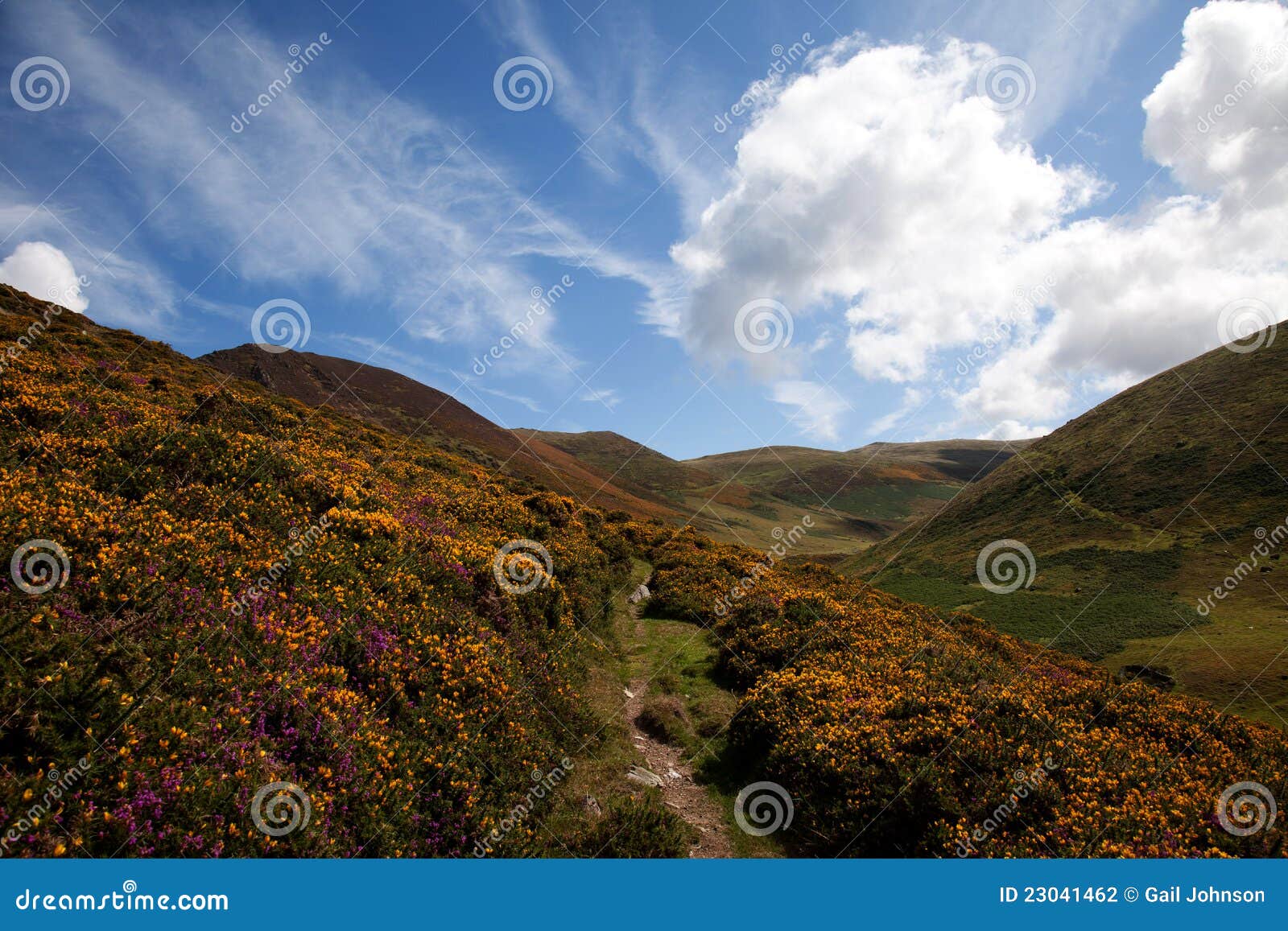 Carneddau Snowdonia stock photo. Image of hills, pink - 23041462