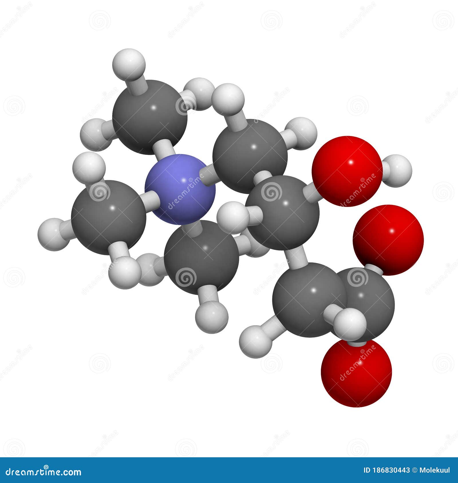 Carnitine Food Supplement Molecule, Chemical Structure Stock ...