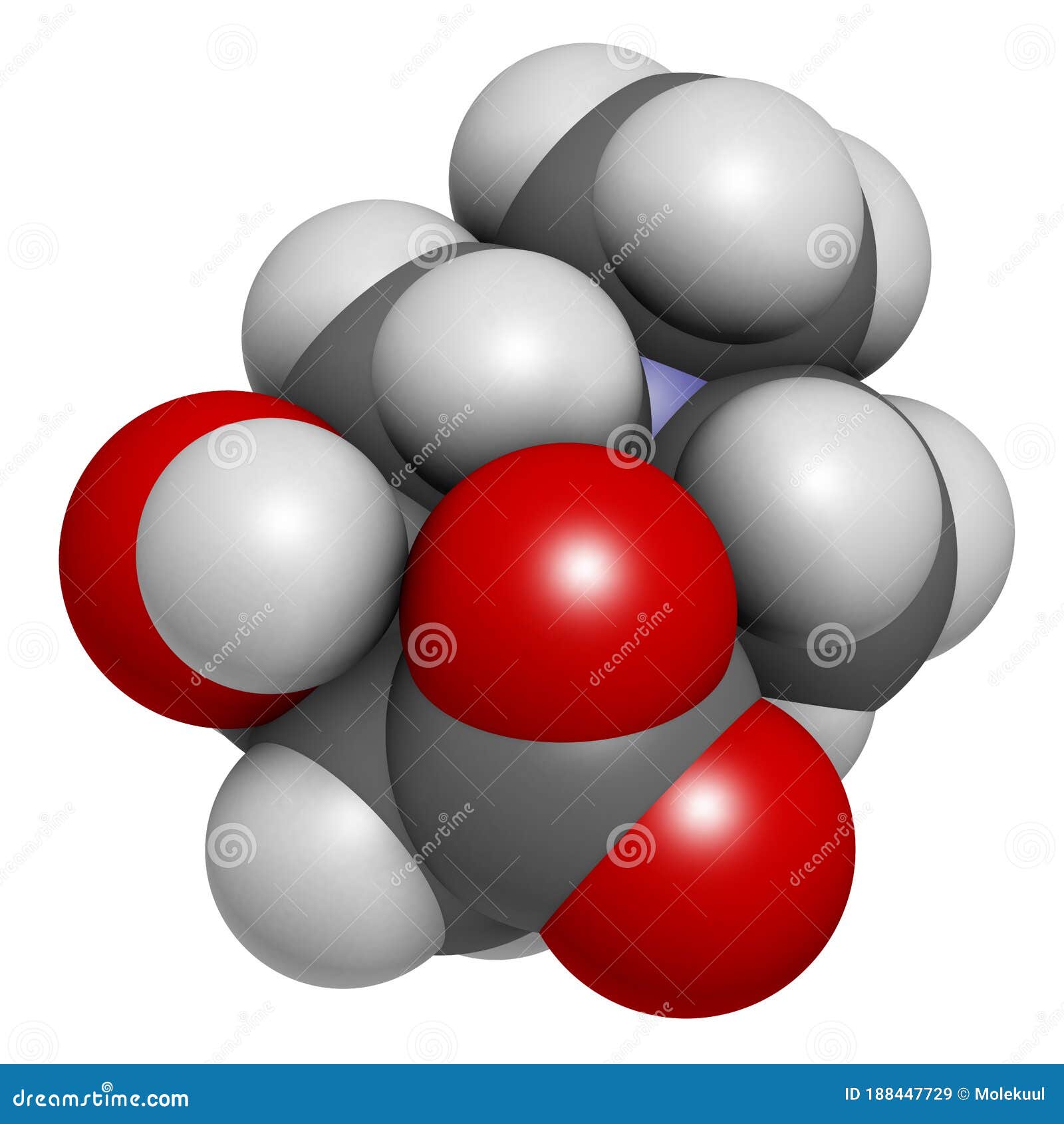 Carnitine Food Supplement Molecule, Chemical Structure Skeletal Formula ...