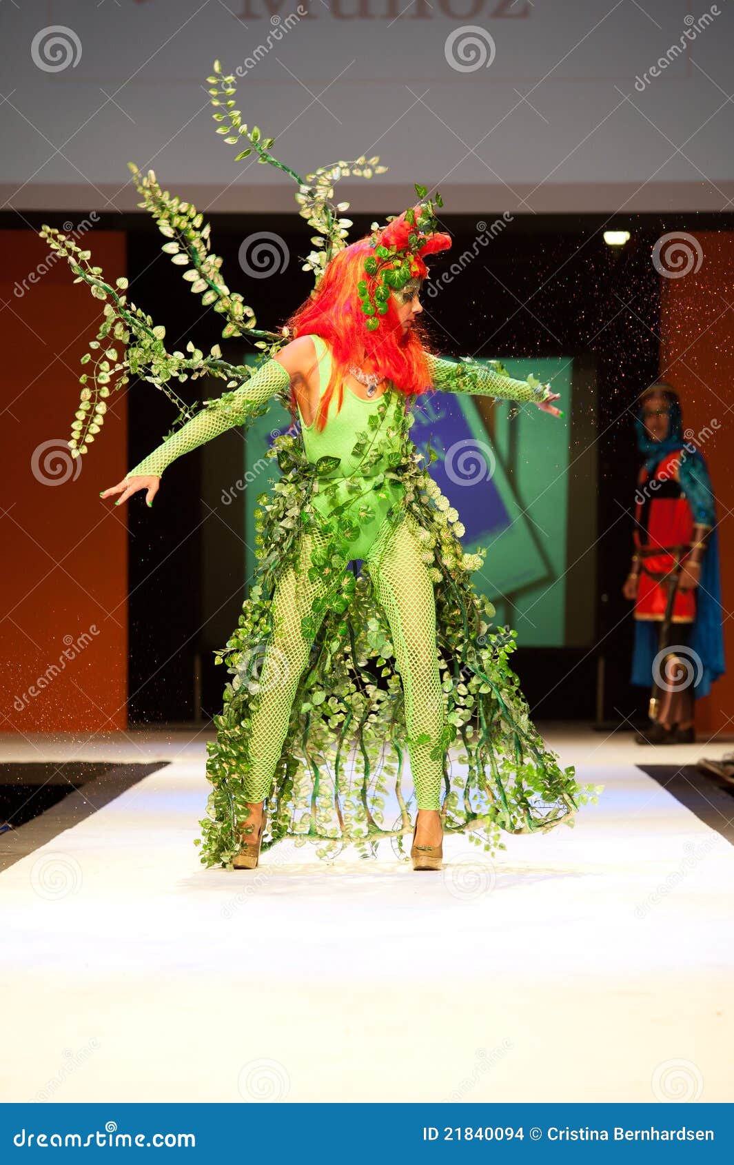 Carnival Fashion Week editorial stock image. Image of fashion - 21840094