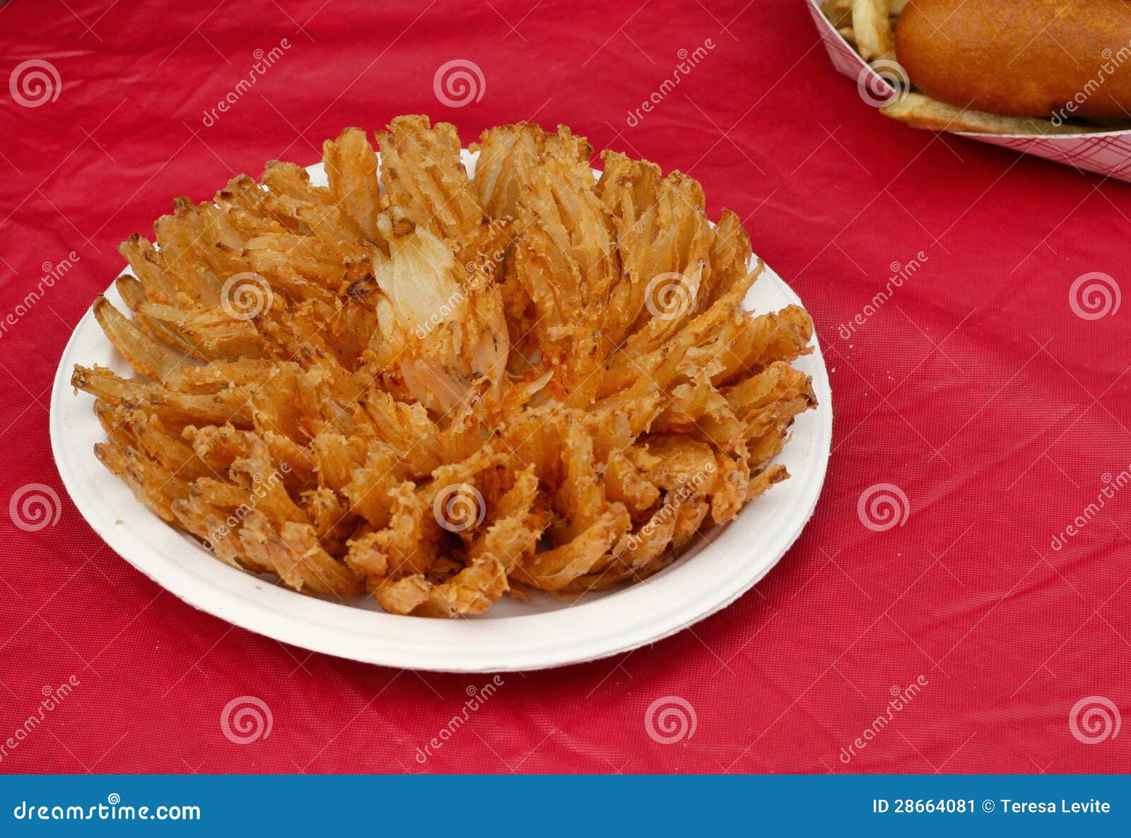Carnival Food stock image. Image of fried, appetizer - 28664081