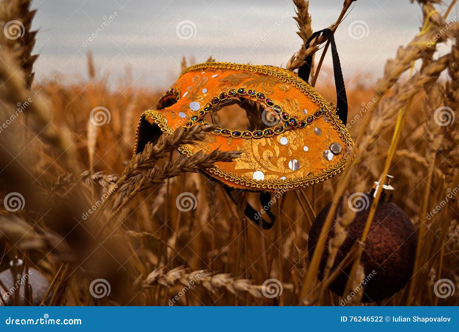 Carnival mask in wheat stock photo. Image of costumes - 76246522