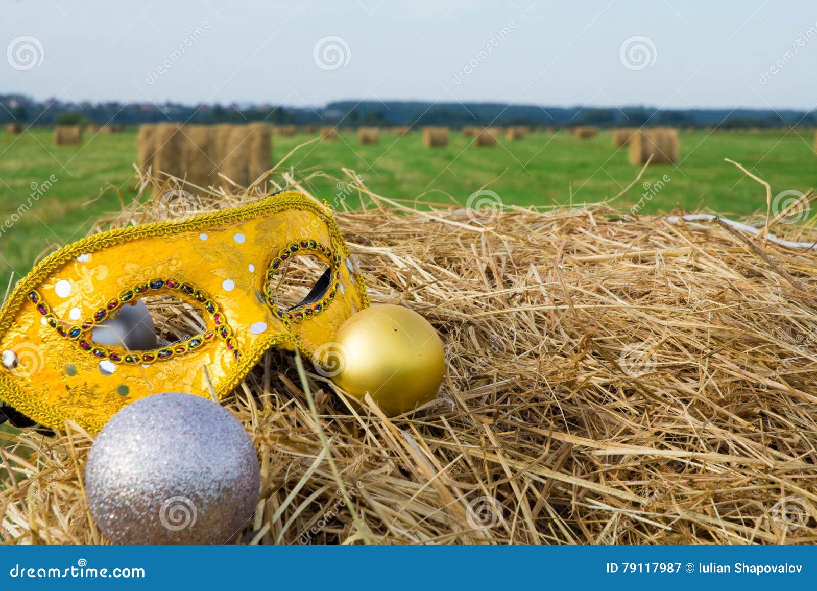 Carnival mask in wheat stock image. Image of faces, history - 79117987