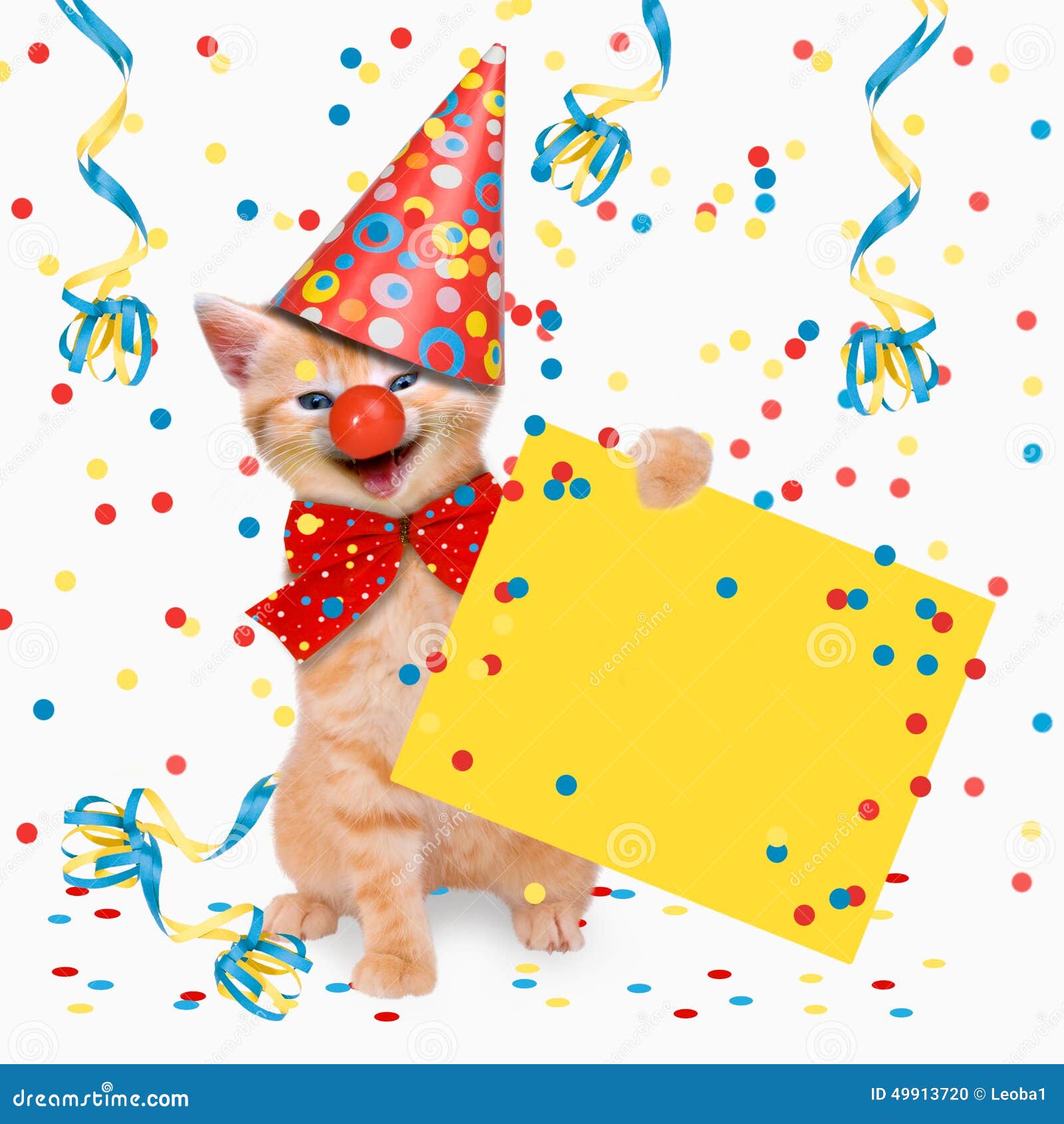 Carnival Party, Cats, Hangover Stock Photo - Image of birthday, laugh ...