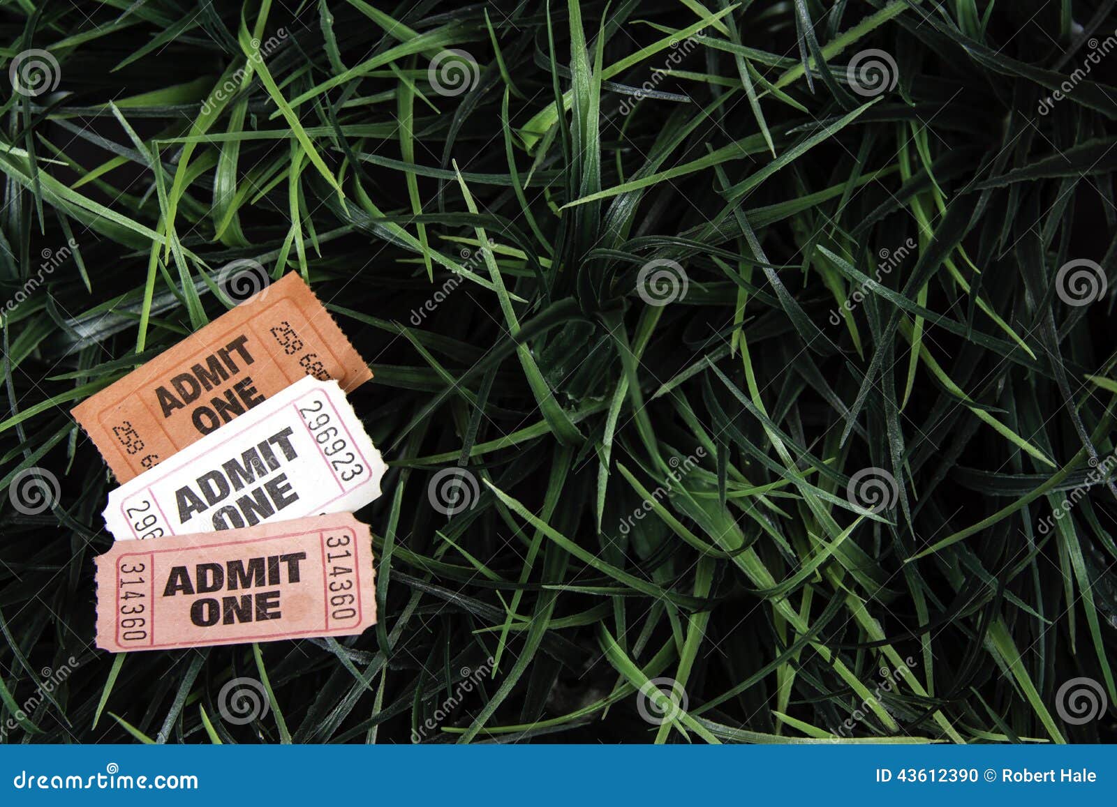 Carnival Tickets stock photo. Image of play, chance, graphic - 43612390