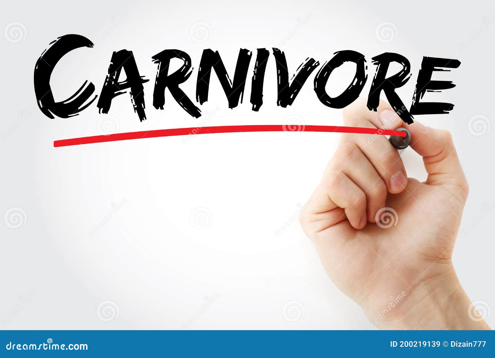 Carnivore text with marker stock illustration. Illustration of ...