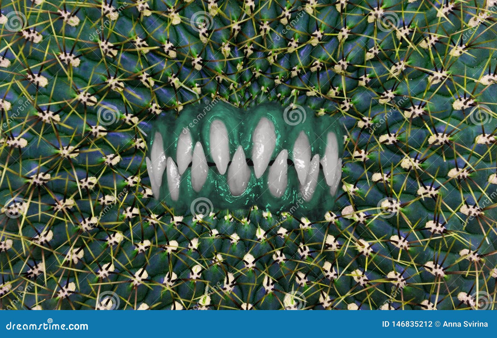 Carnivorous Cactus with Sharp Teeth Stock Photo - Image of teeth ...