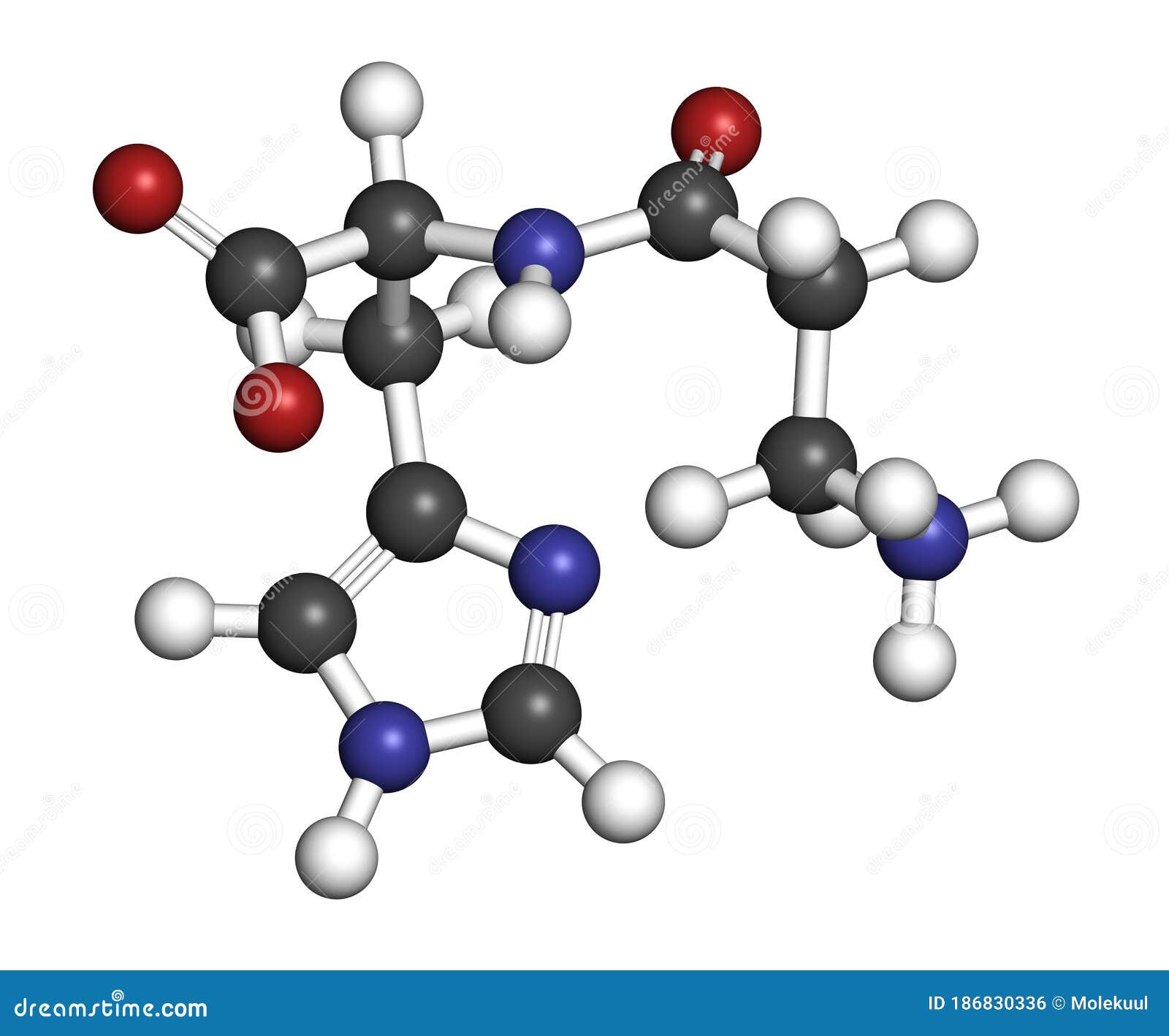 Carnosine Or L-carnosine Food Supplement Molecule. Skeletal Formula ...
