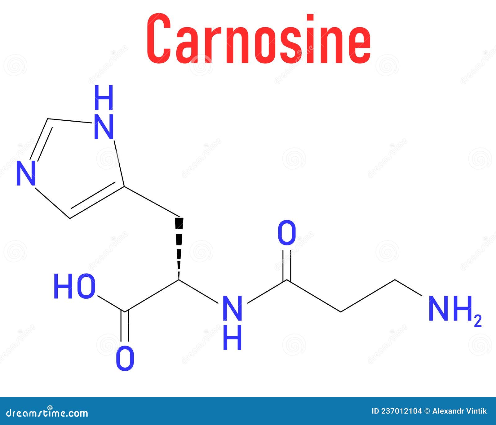 Carnosine or L-carnosine Food Supplement Molecule. Skeletal Formula ...