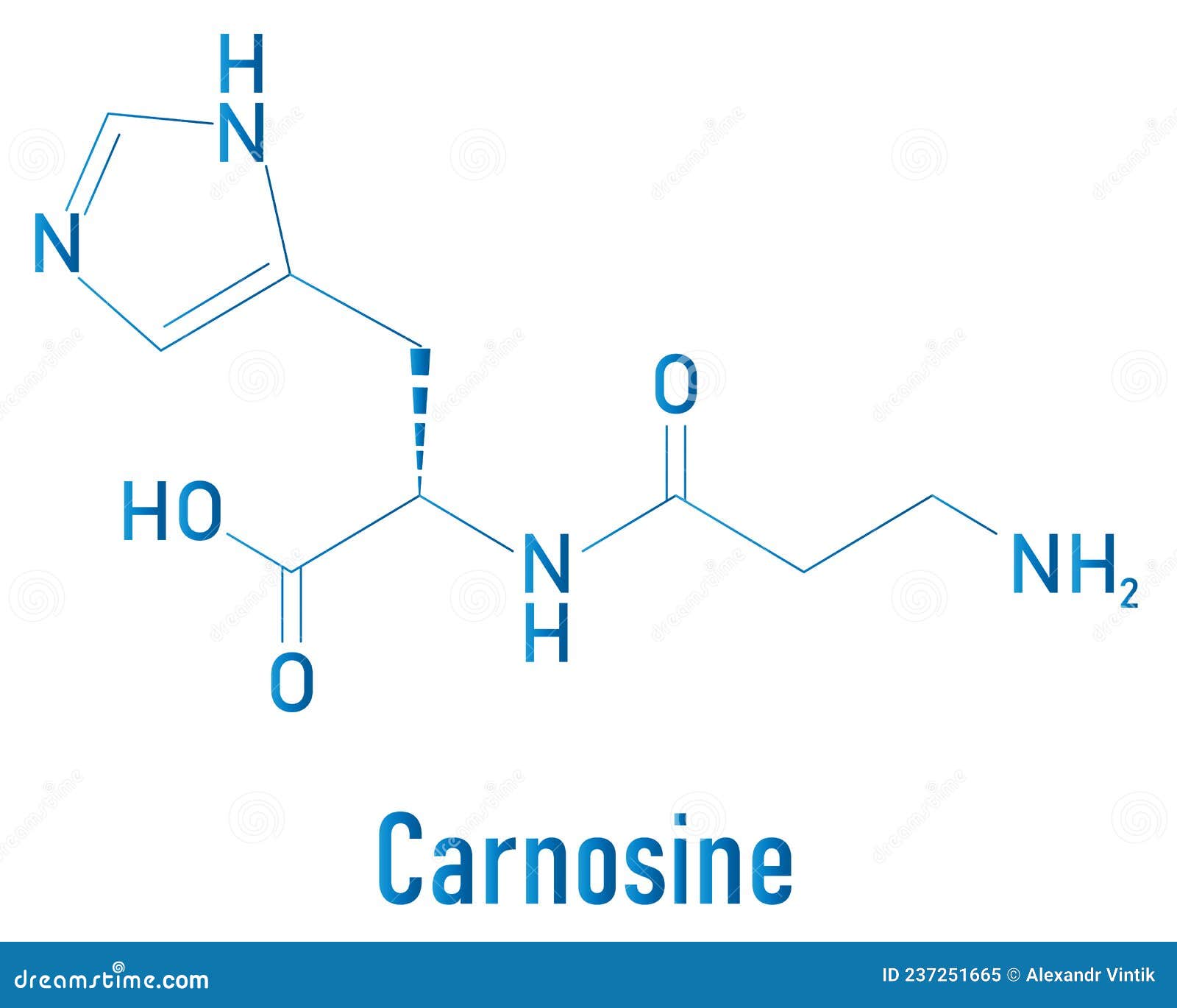 Carnosine Or L-carnosine Food Supplement Molecule. Skeletal Formula ...