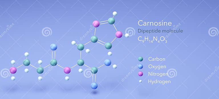 Carnosine, Molecular Structures, Dipeptide Molecule, 3d Model ...