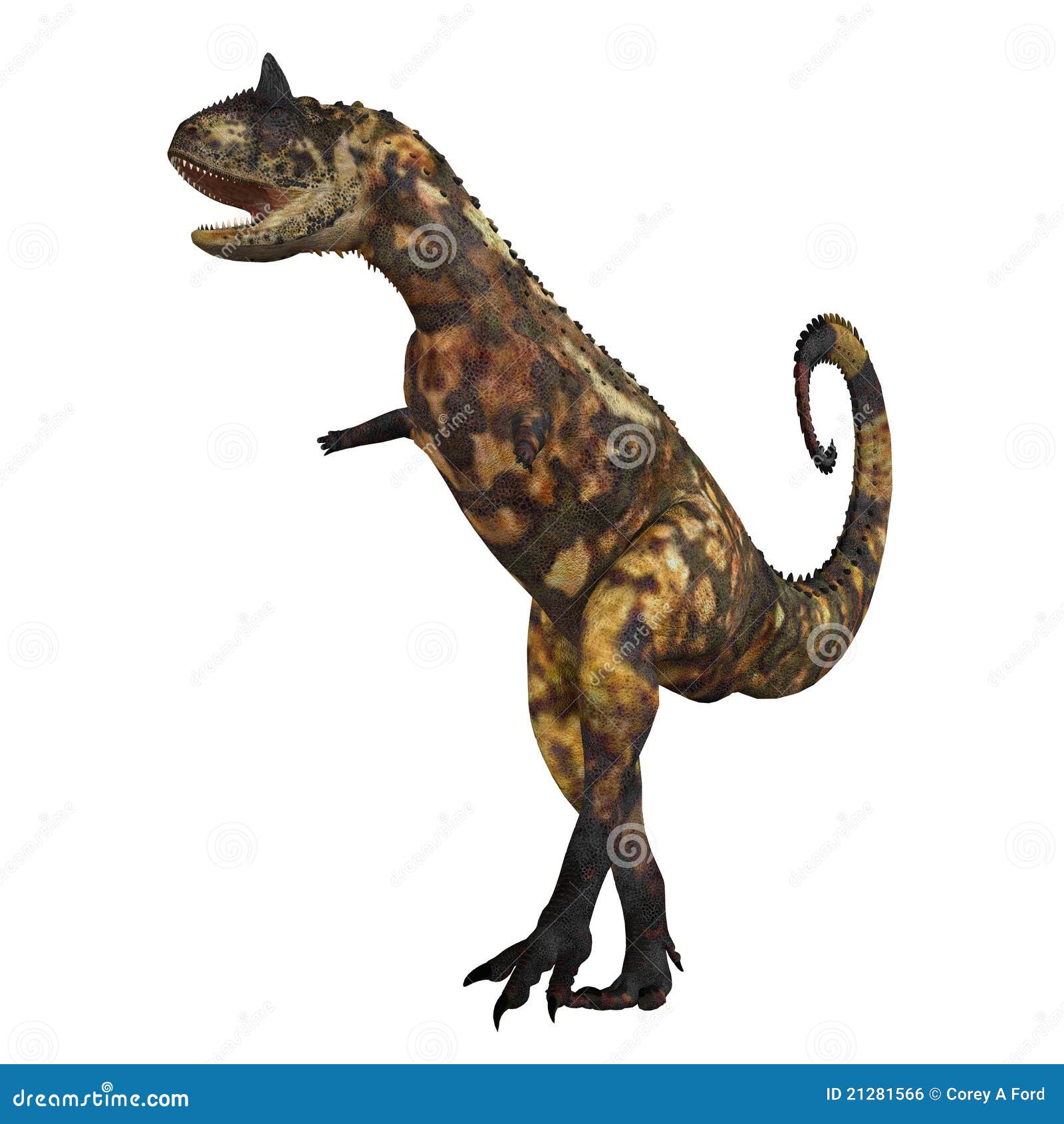 Carnotaurus 01 stock illustration. Illustration of reptile - 21281566