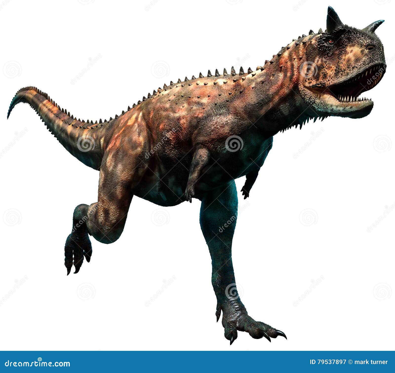 Carnotaurus ilustração stock. Ilustração de extinto, ataque - 79537897