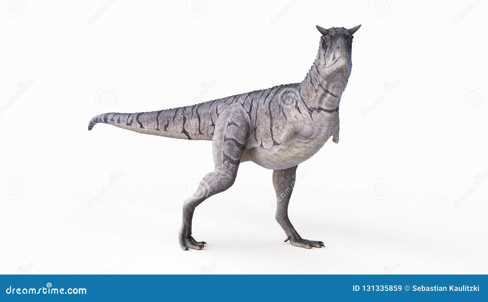 A carnotaurus stock illustration. Illustration of history - 131335859