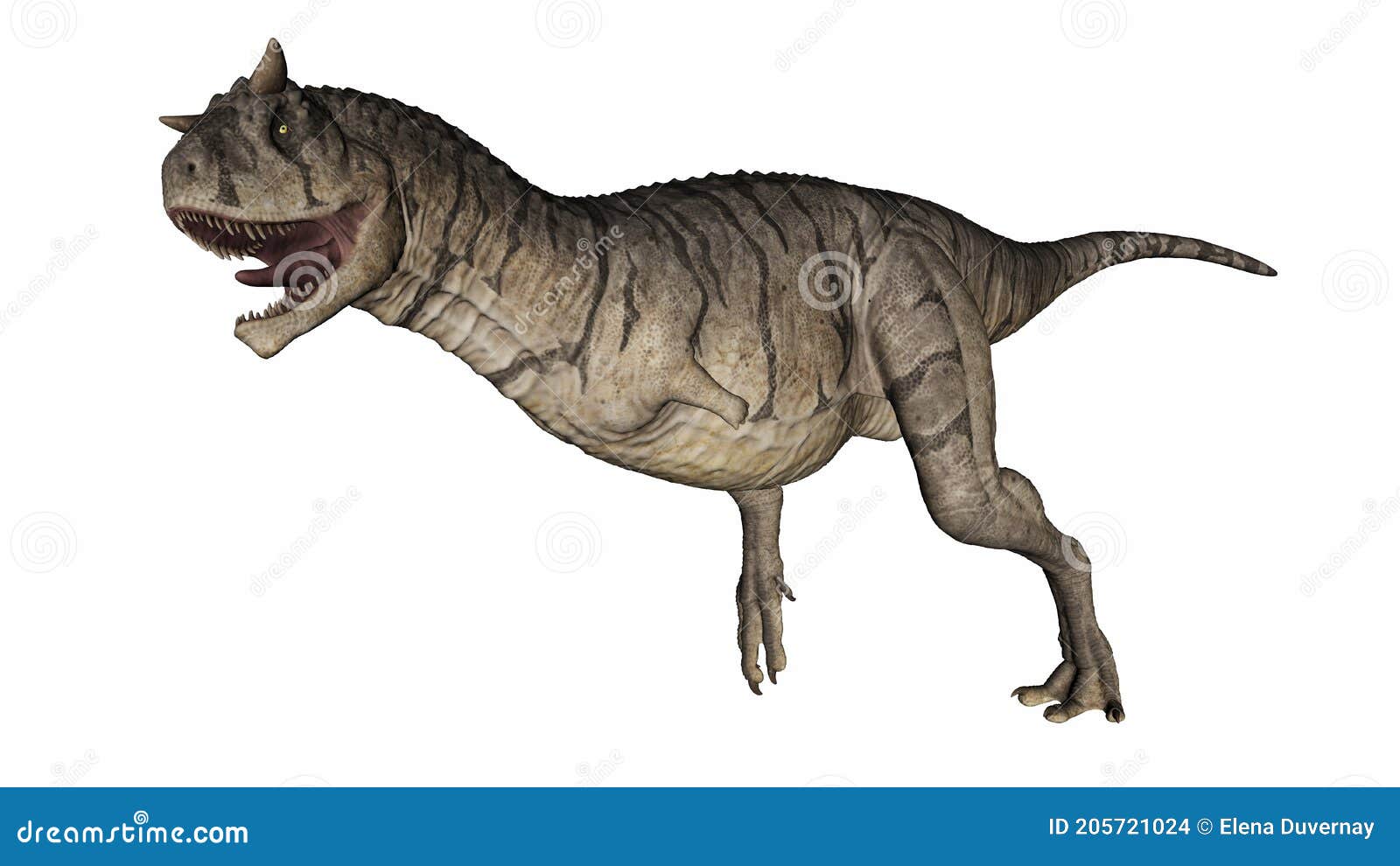 Carnotaurus Dinosaur Roaring At Sunset - 3D Render Royalty-Free Stock ...