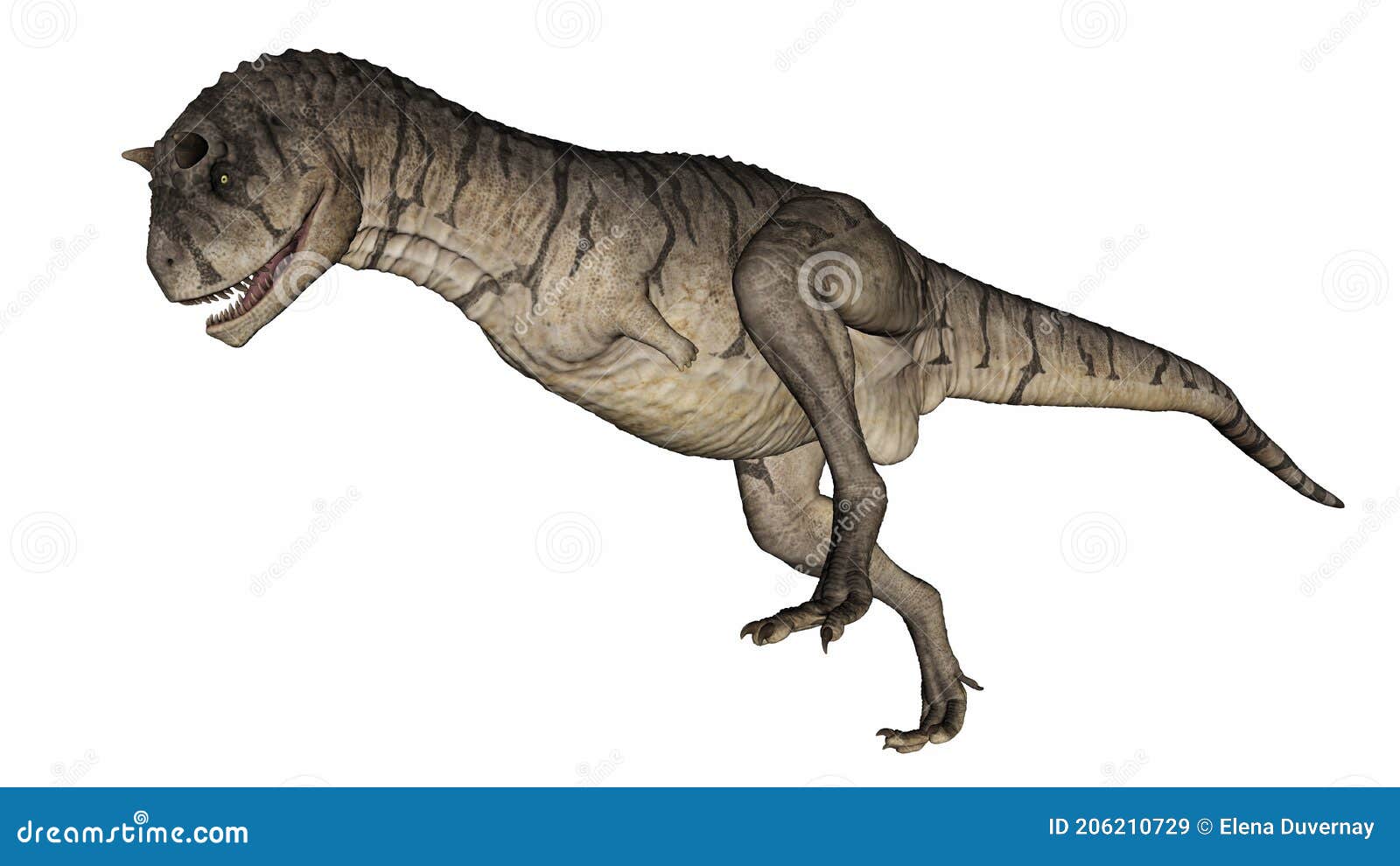 Carnotaurus Dinosaur Cartoon Colored Clipart | CartoonDealer.com #244319509