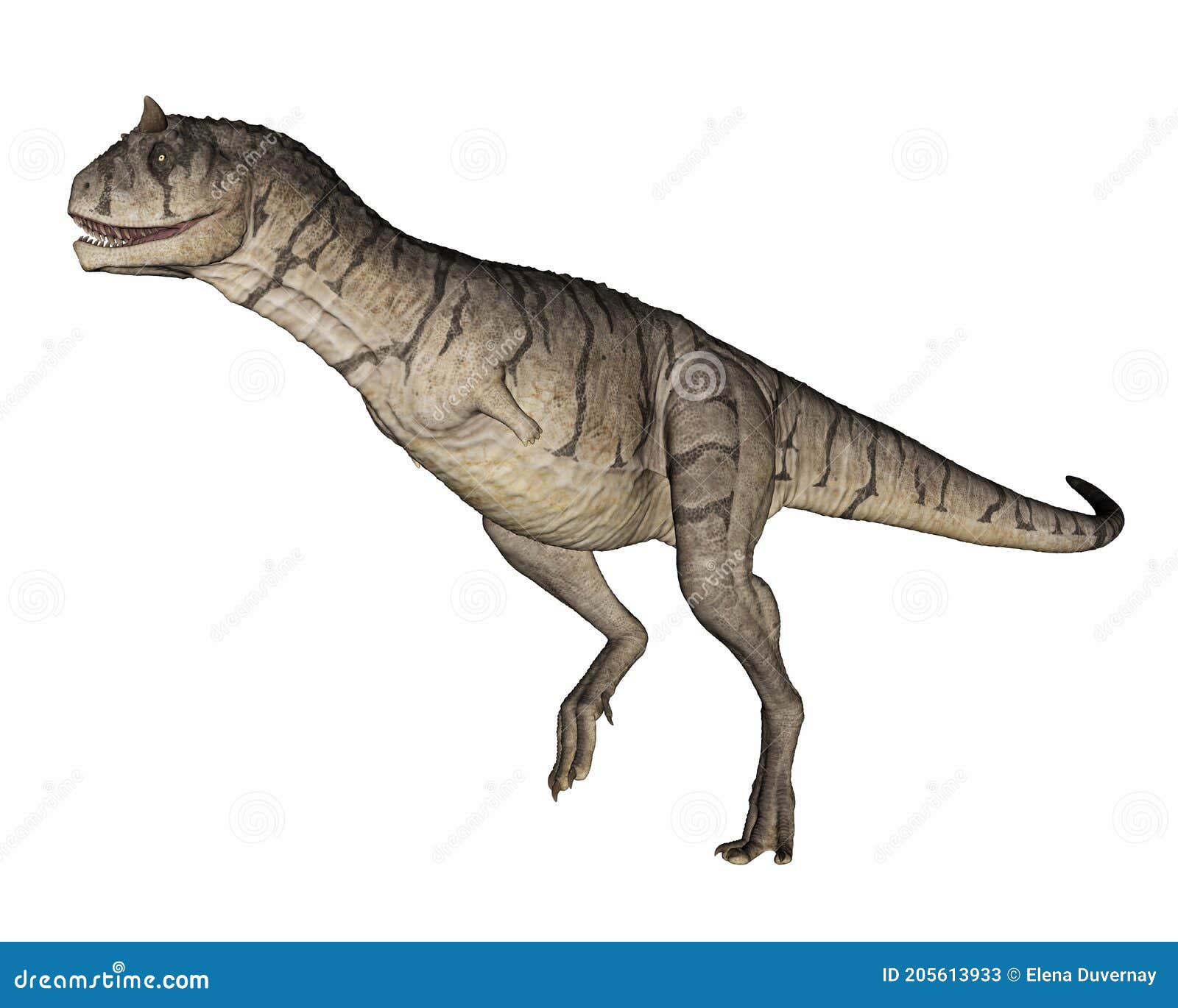 Carnotaurus Dinosaur Cartoon Colored Clipart | CartoonDealer.com #244319509