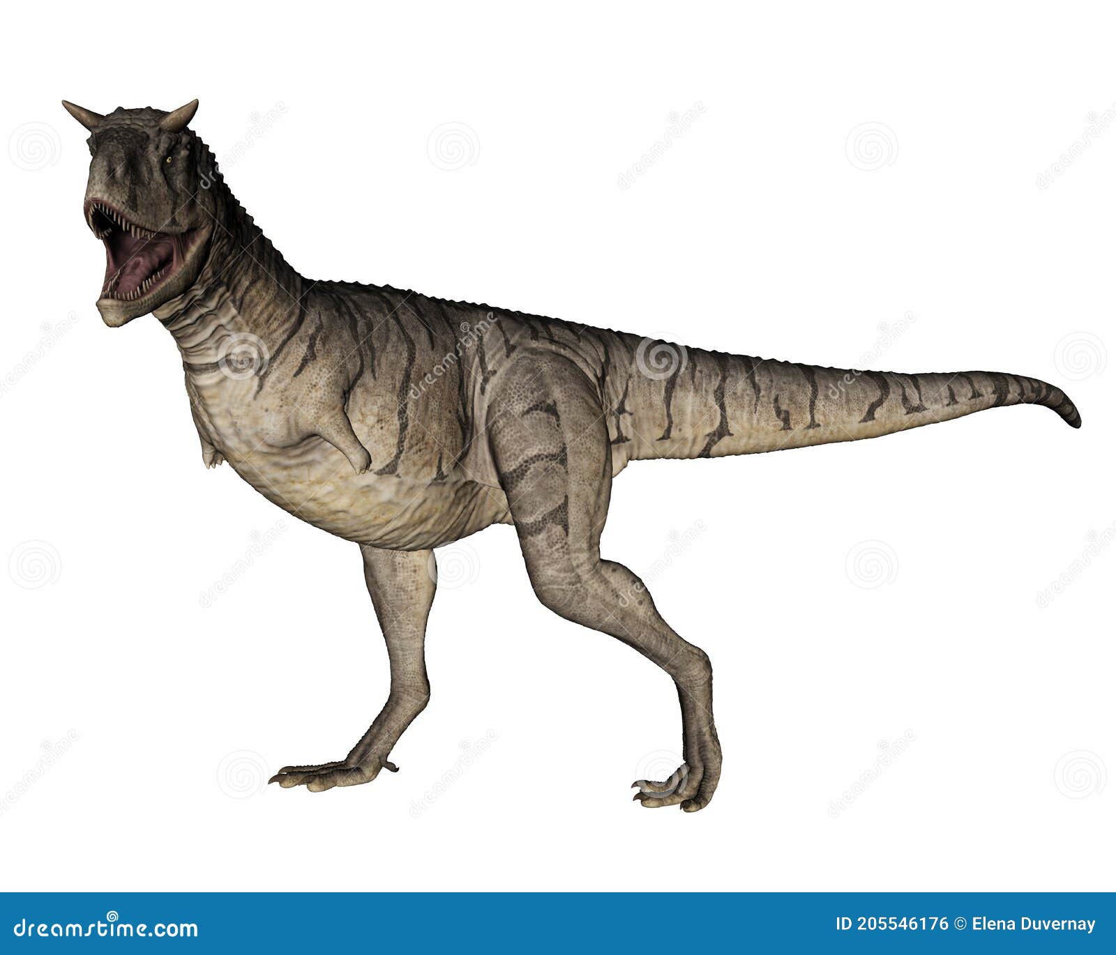 Carnotaurus Dinosaur Cartoon Colored Clipart | CartoonDealer.com #244319509